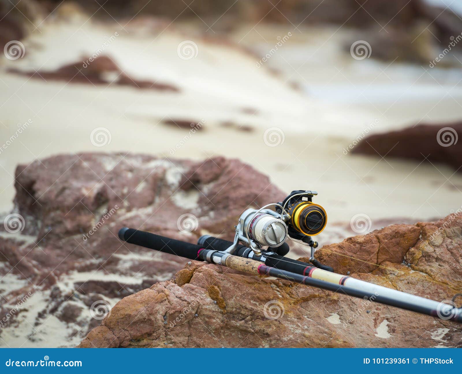Fishing Rods on Beach stock image. Image of leisure - 101239361