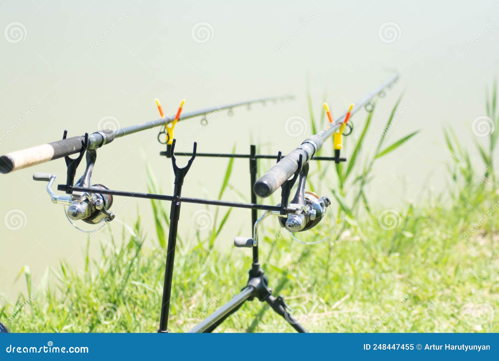 Fishing Rods Catch Fish. Fishing with Two Rods Stock Image - Image of ...