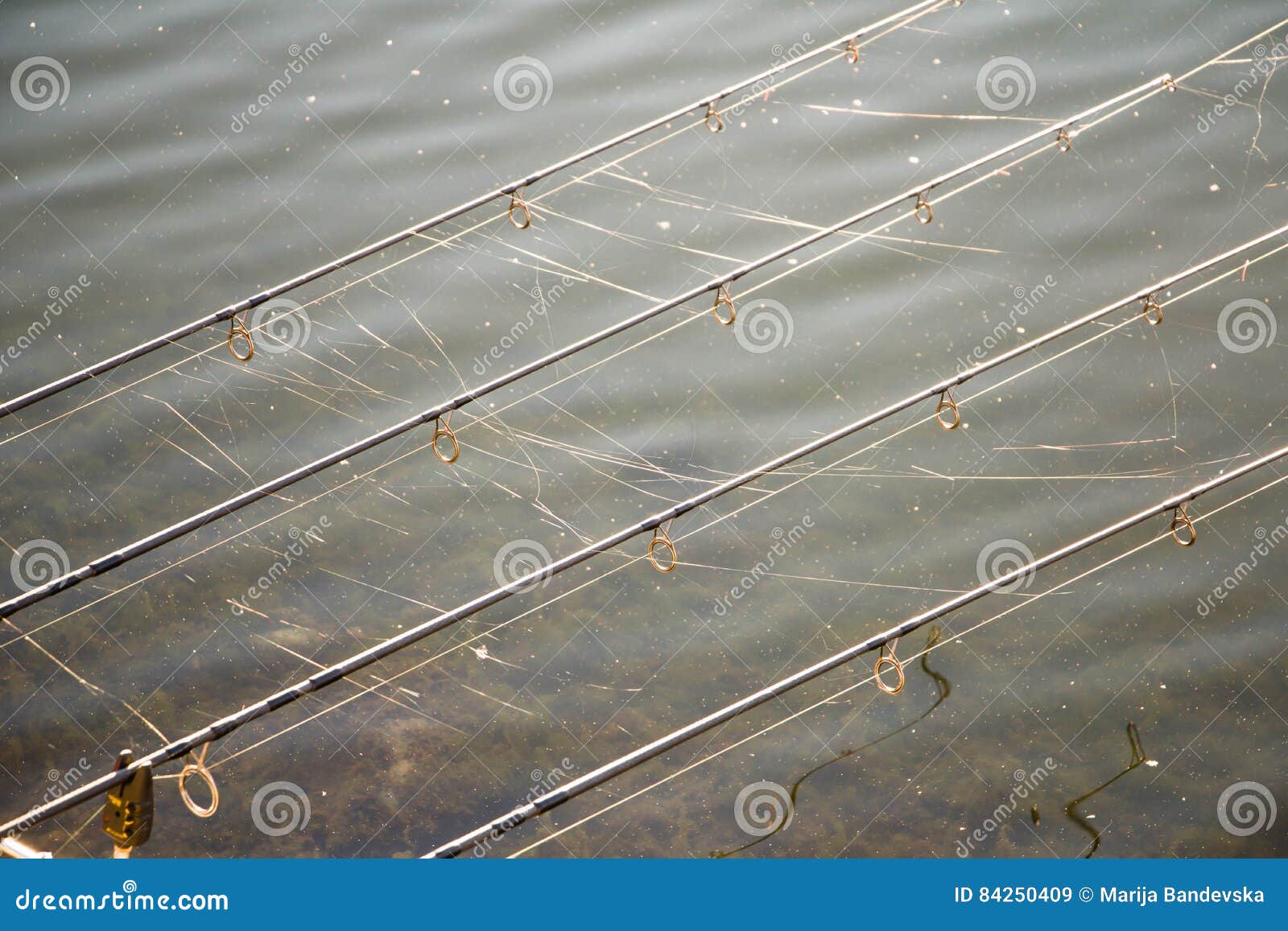 Fishing rods with cobweb stock image. Image of cobweb - 84250409