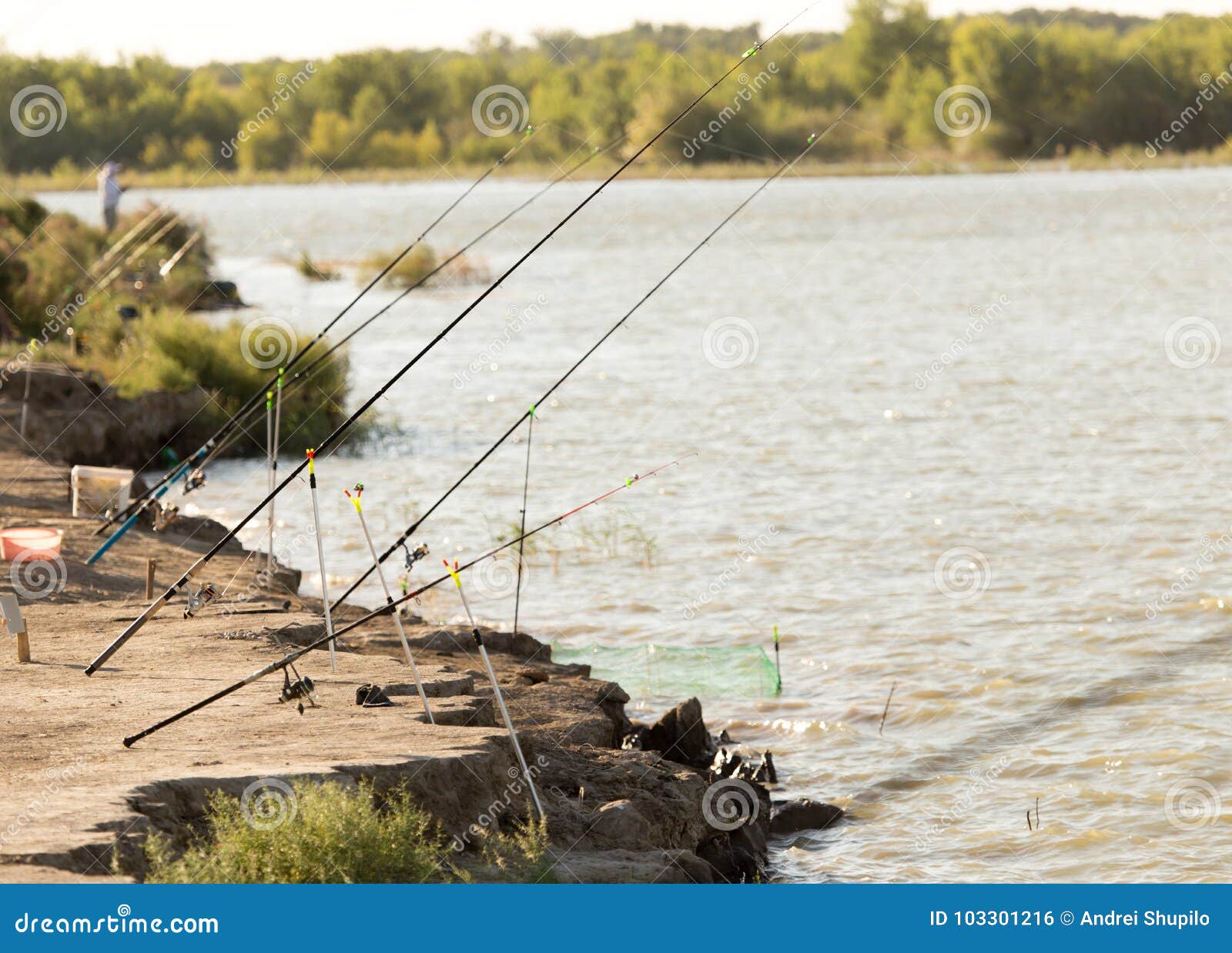 Fishing Rods on the River Bank in Nature Stock Photo - Image of closeup ...