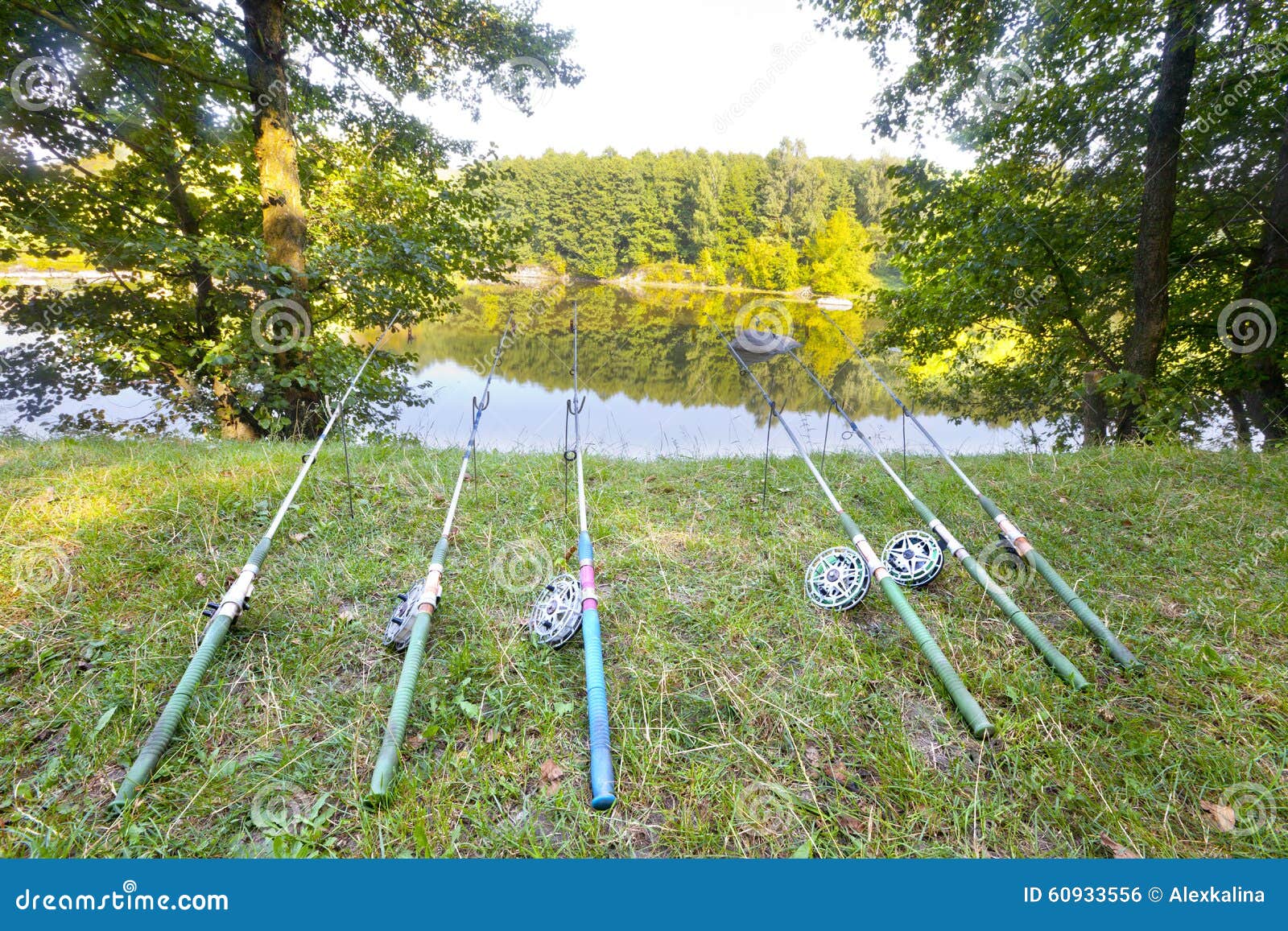 Fishing rods stock photo. Image of river, bass, recreational - 60933556
