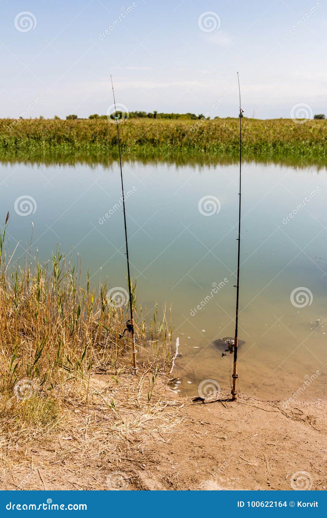 Fishing Rods Waiting for Bite Stock Photo - Image of line, detail ...
