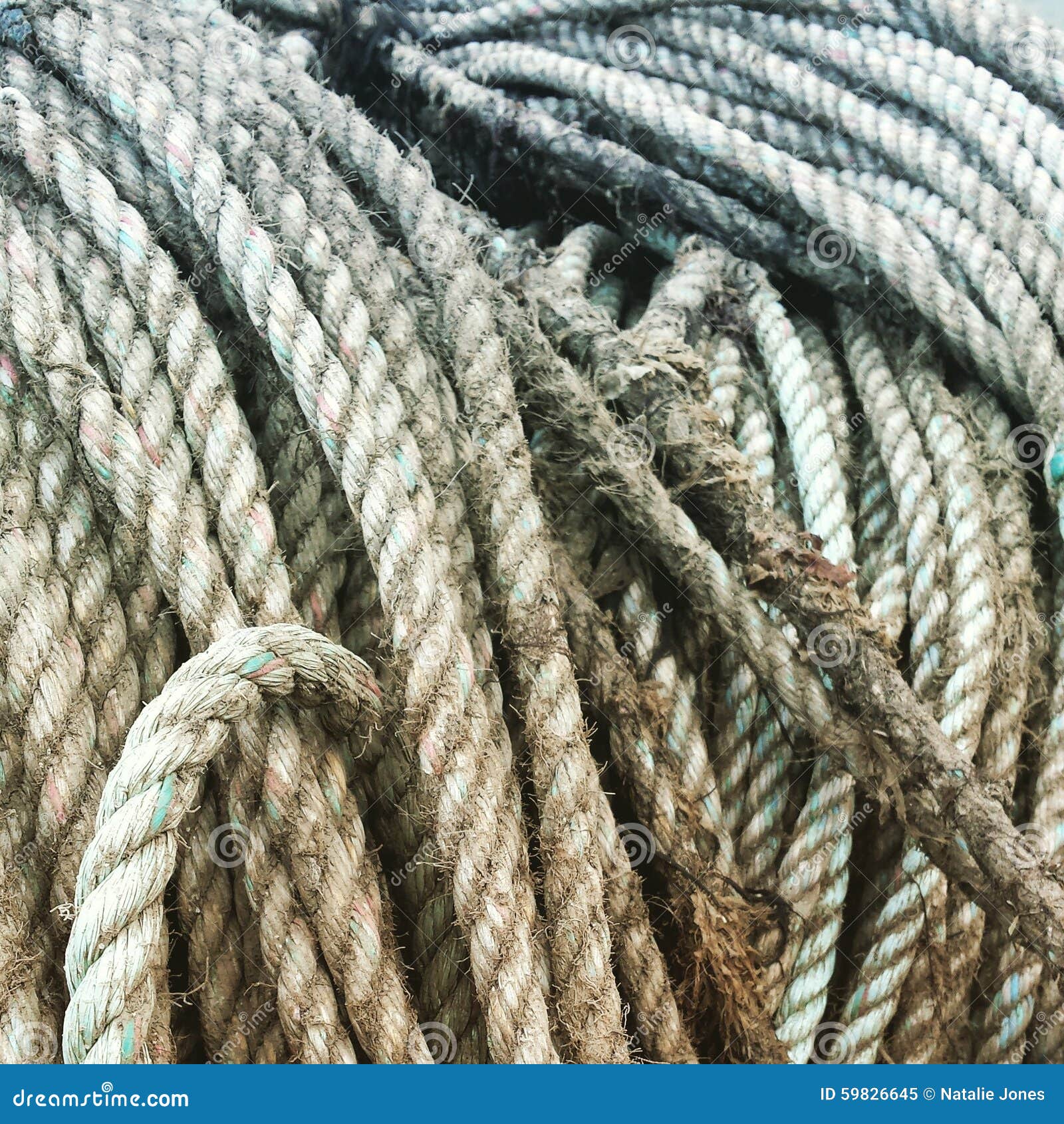 Fishing Rope stock image. Image of fishing, close, rope - 59826645