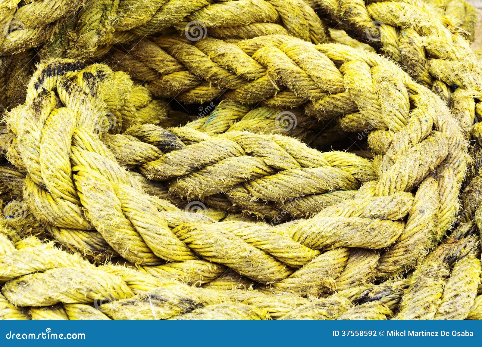 Fishing rope textures stock photo. Image of strong, marine - 37558592
