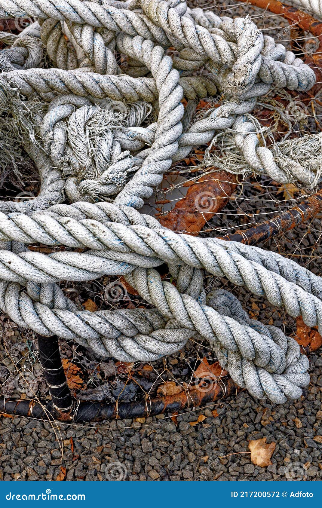 Fishing Ropes Piled Up in a Stack Stock Photo - Image of nautical ...