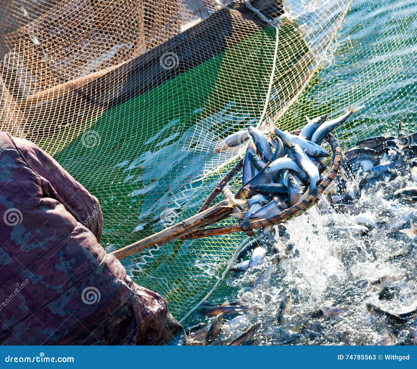 Fishing with scoop stock image. Image of commercial, lake - 74785563