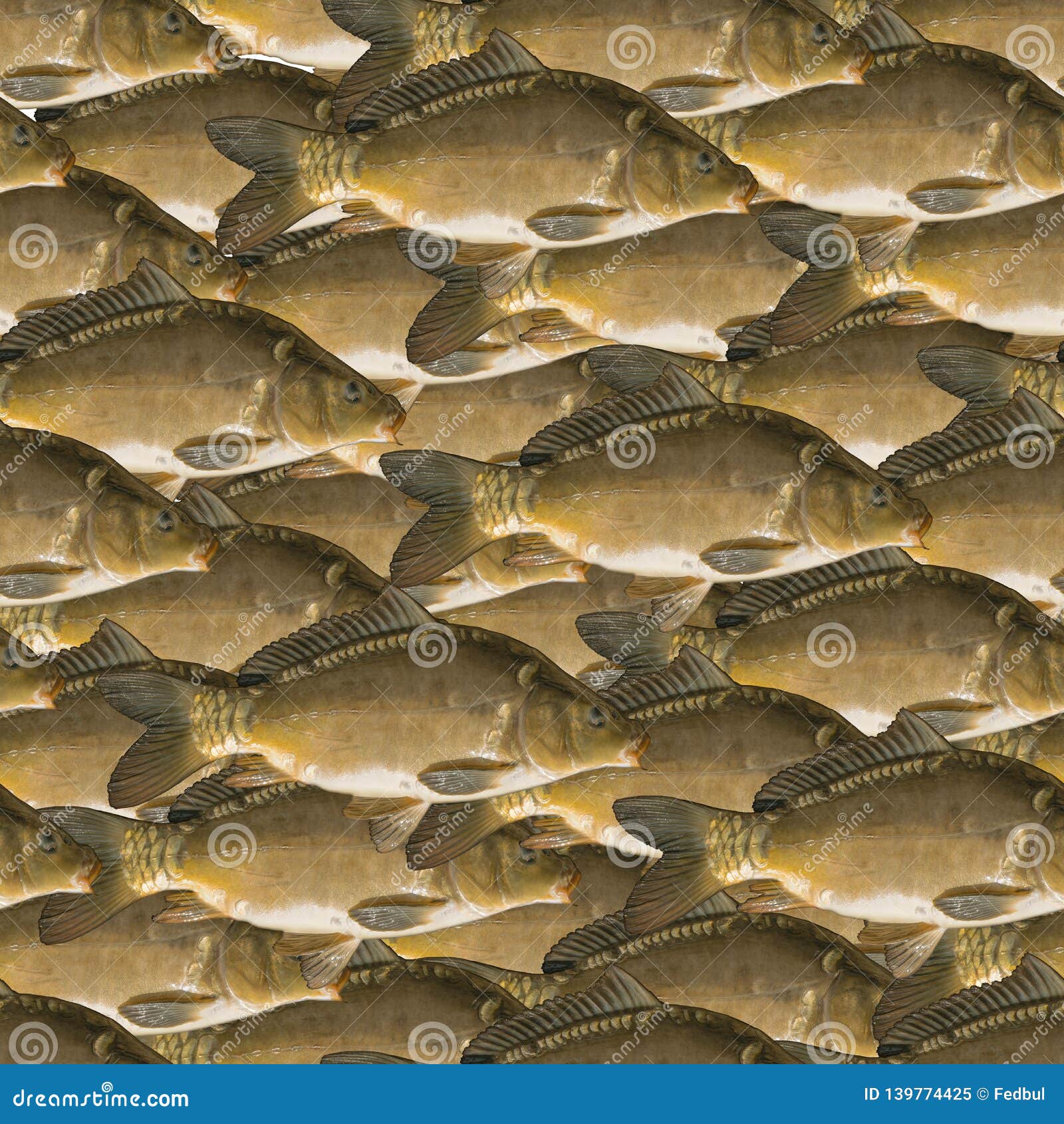 Fishing Seamless Pattern of Fish. Background from Mirror Carp Fish ...