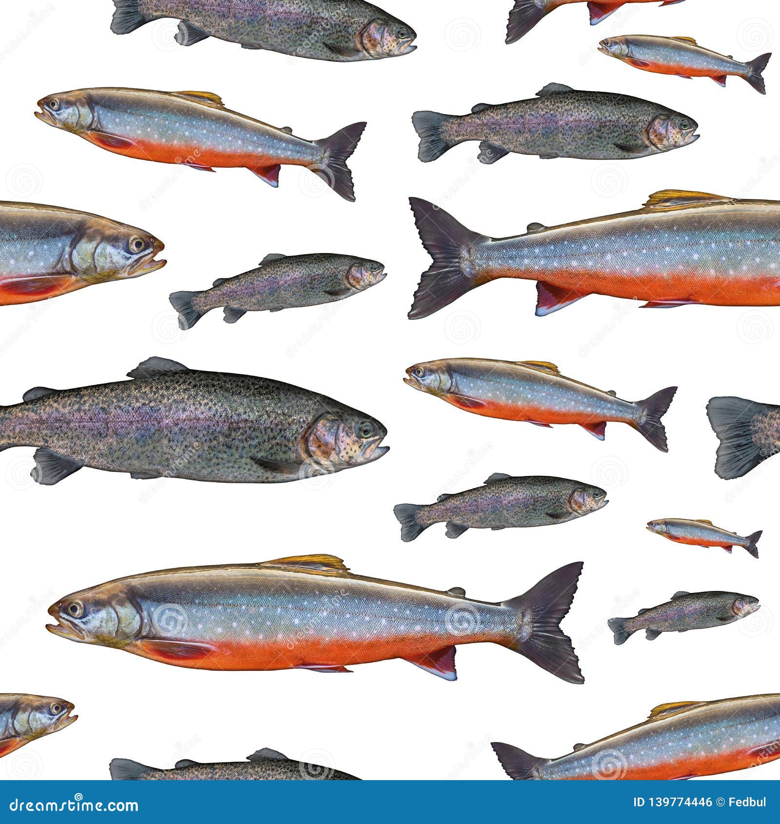 Fishing Seamless Pattern of Fish. Background from Trout Salmon and ...