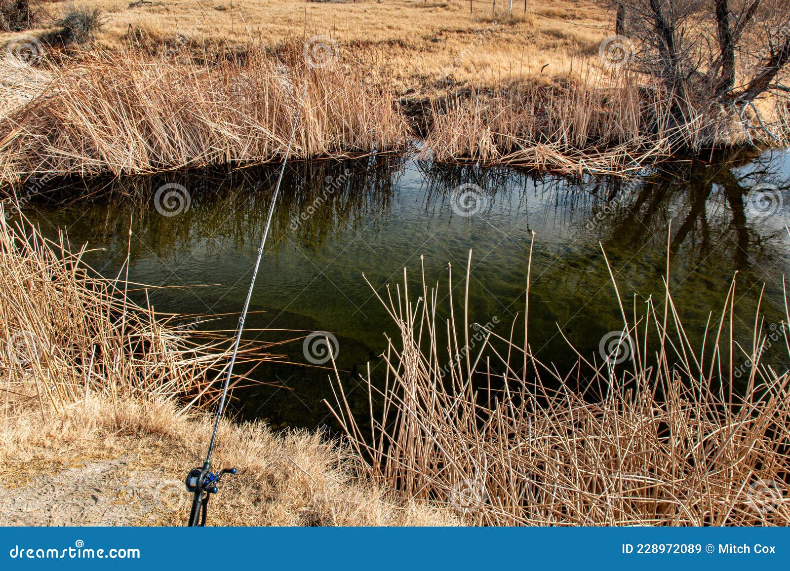 Fishing Hole stock image. Image of plant, woodland, river - 228972089
