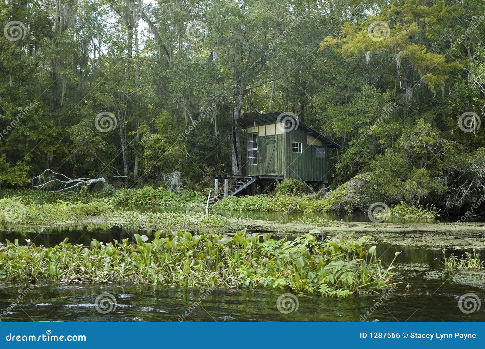 Fishing Shack stock photo. Image of trees, recreation - 1287566