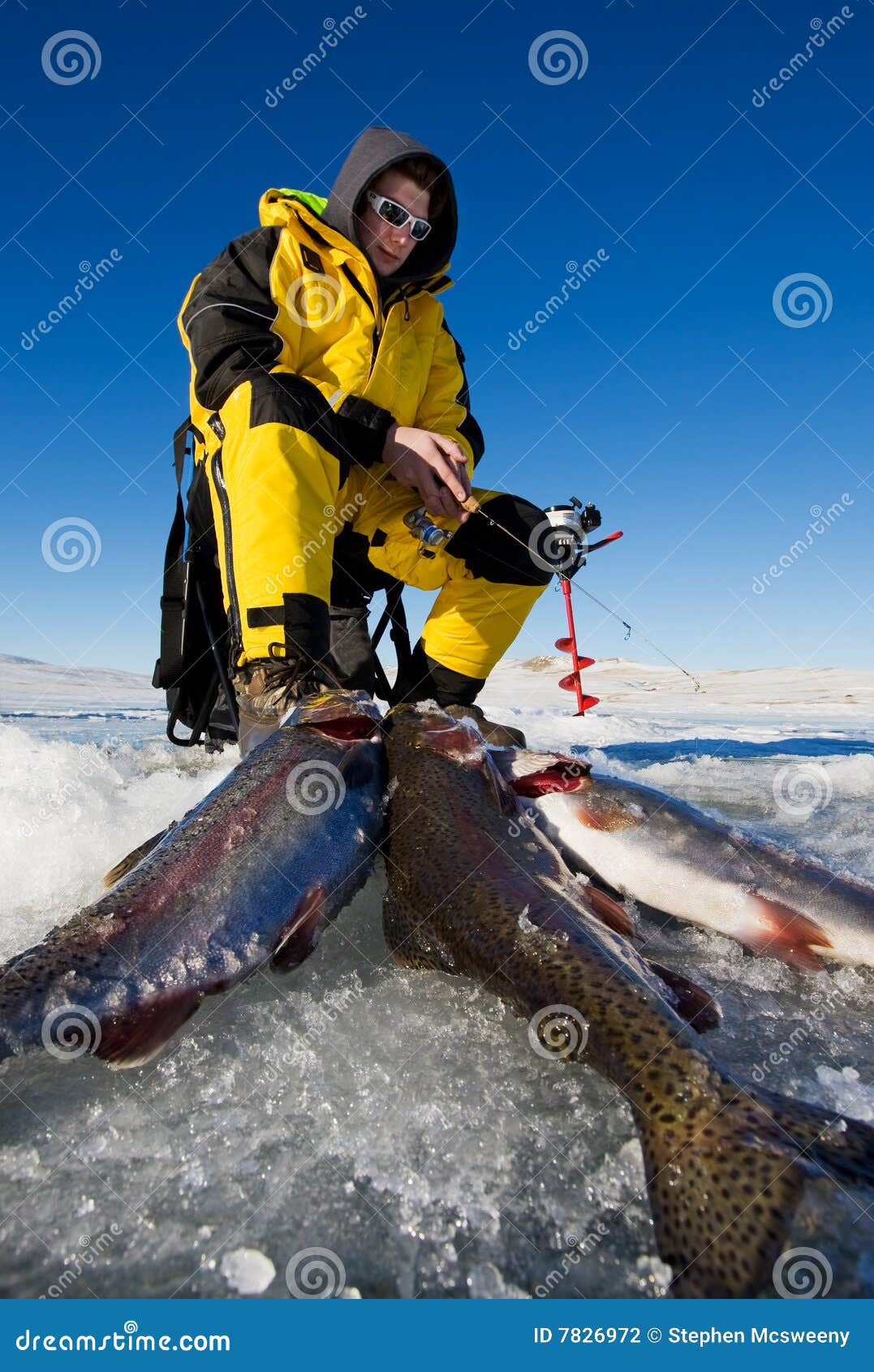 Fishing success stock photo. Image of sport, season, leisure - 7826972