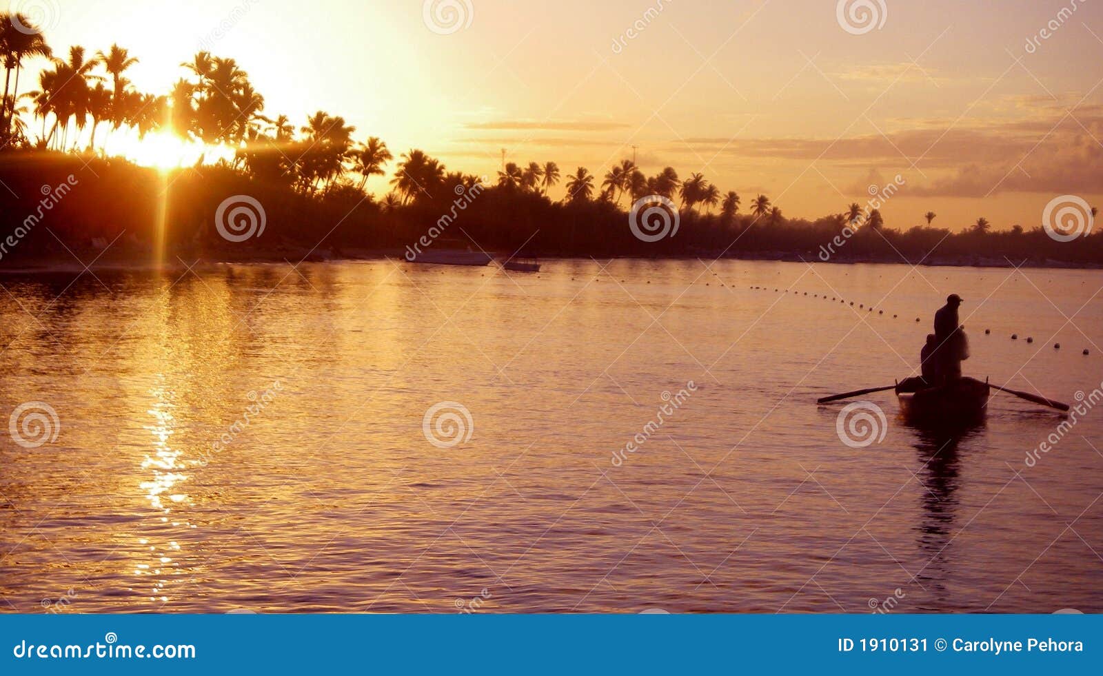 Fishing at Sunrise stock image. Image of palms, work, sunrise - 1910131