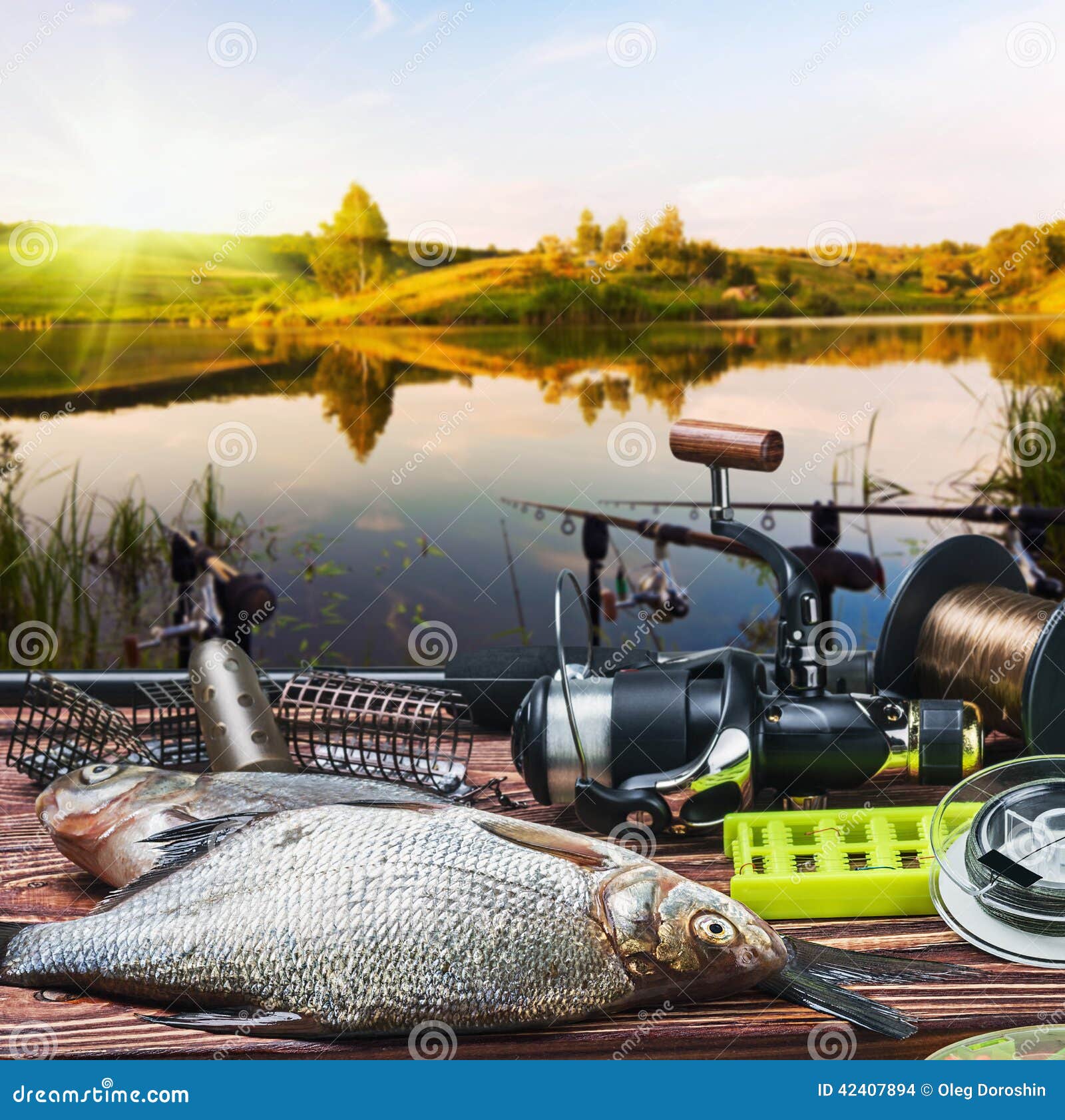 Fishing Tackle and Caught Fish on the Table Stock Photo - Image of ...