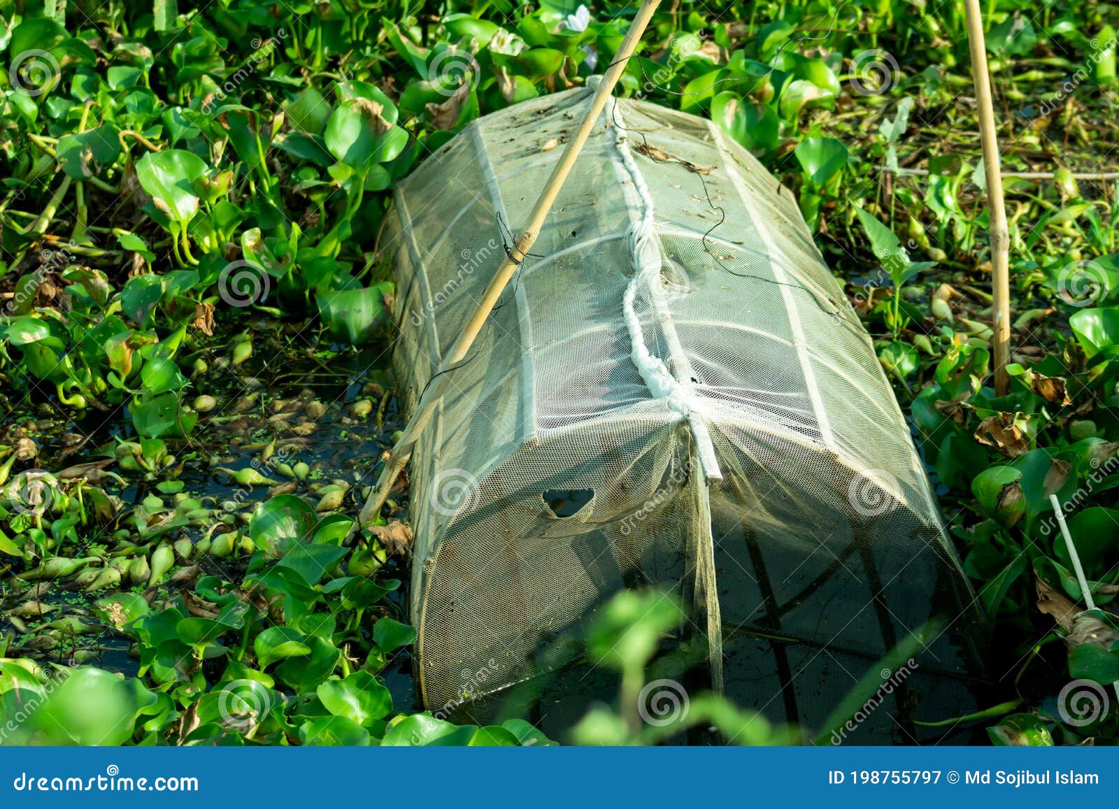 The Fishing Tackle or Traps Made with Bamboo Net Stock Image - Image of ...
