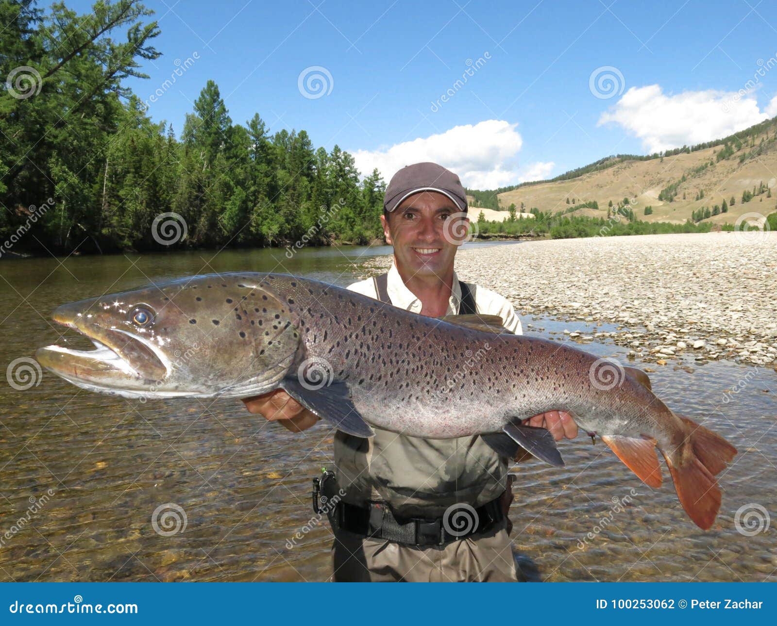 Fishing - taimen fish stock photo. Image of osman, lake - 100253062