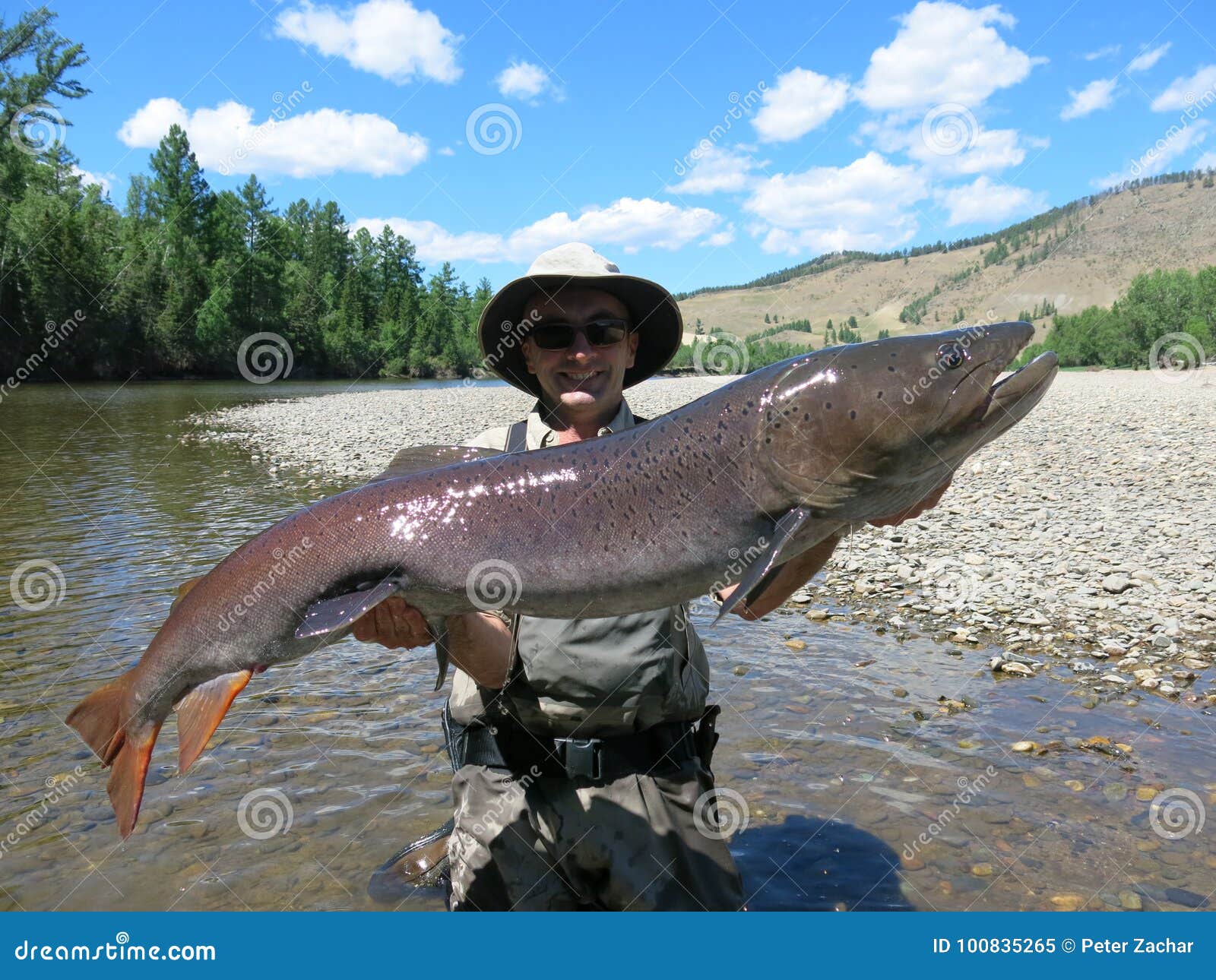 Fishing - taimen fish stock image. Image of sahara, fishing - 100835265