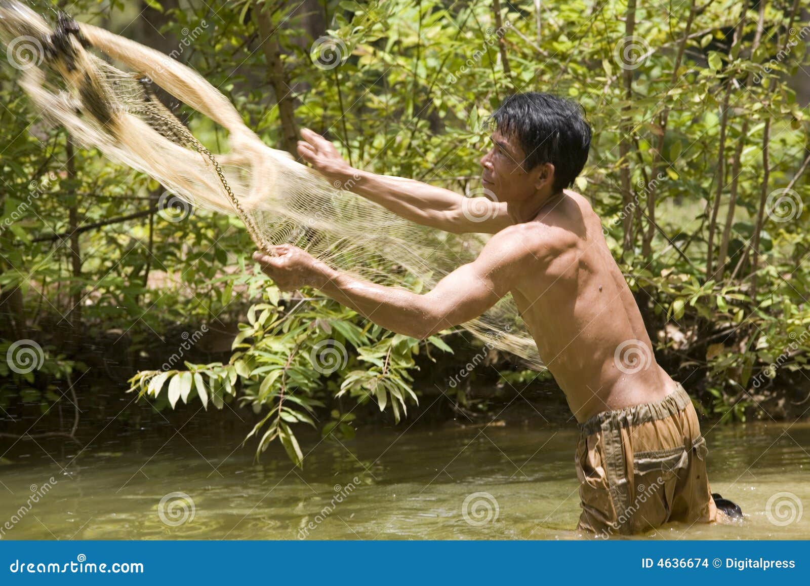 Fishing with a throw net stock photo. Image of ponds, tradition - 4636674