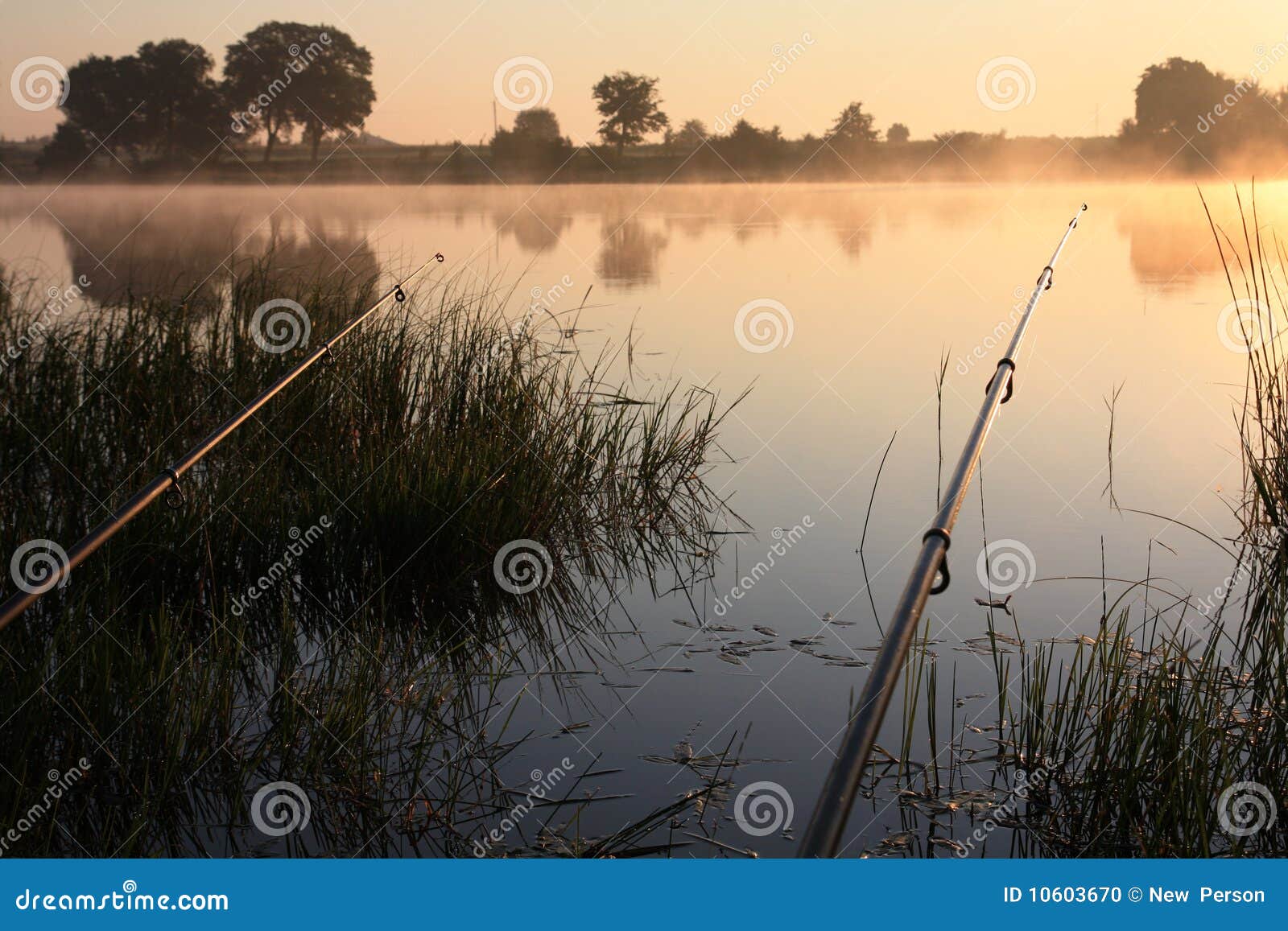 Fishing time.. stock photo. Image of line, activity, rest - 10603670