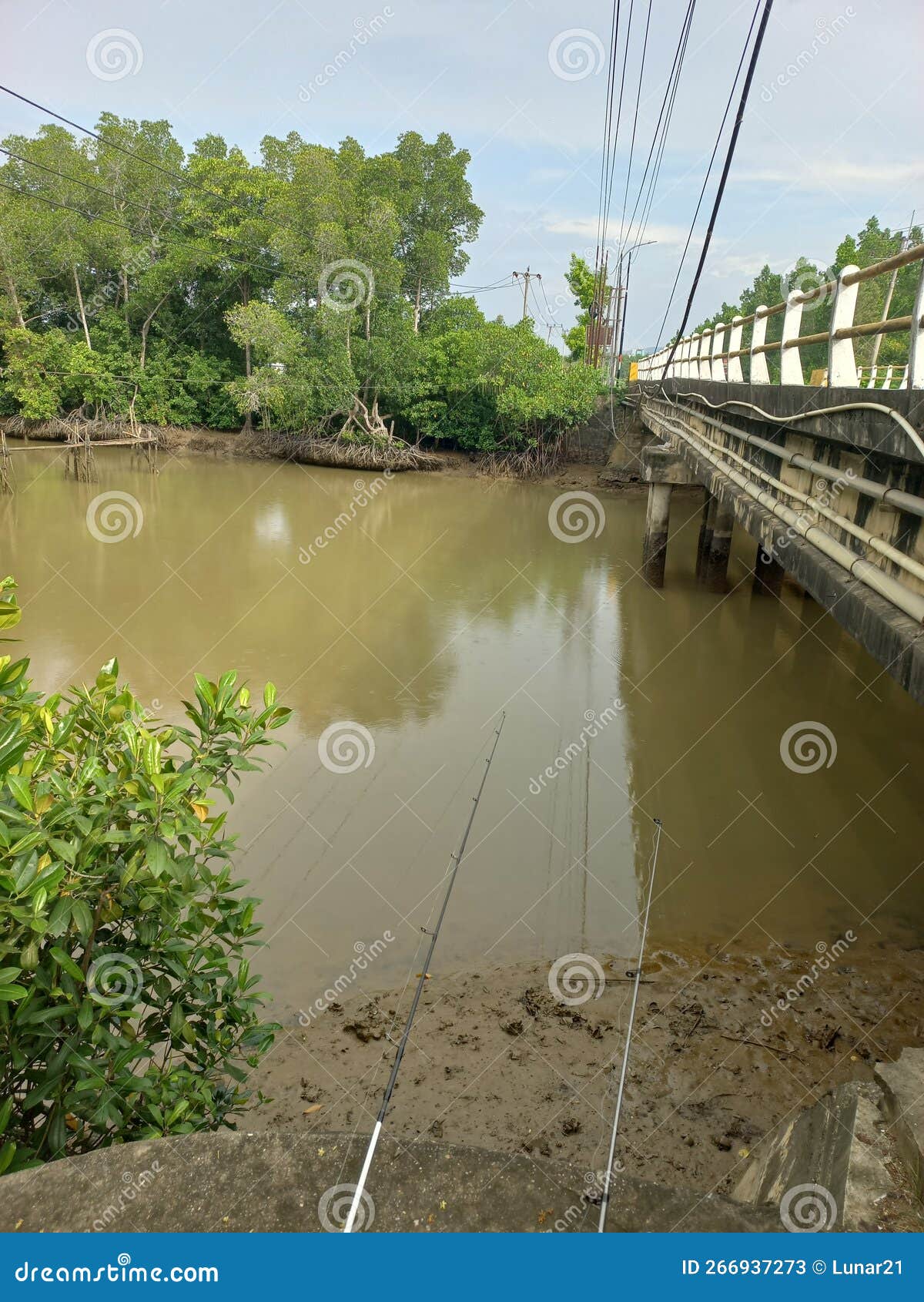 Fishing Together in the Morning at the River Bank Stock Image - Image ...