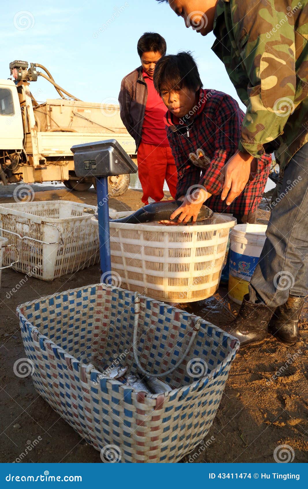 Fishing trader editorial stock image. Image of lake, fisherman - 43411474