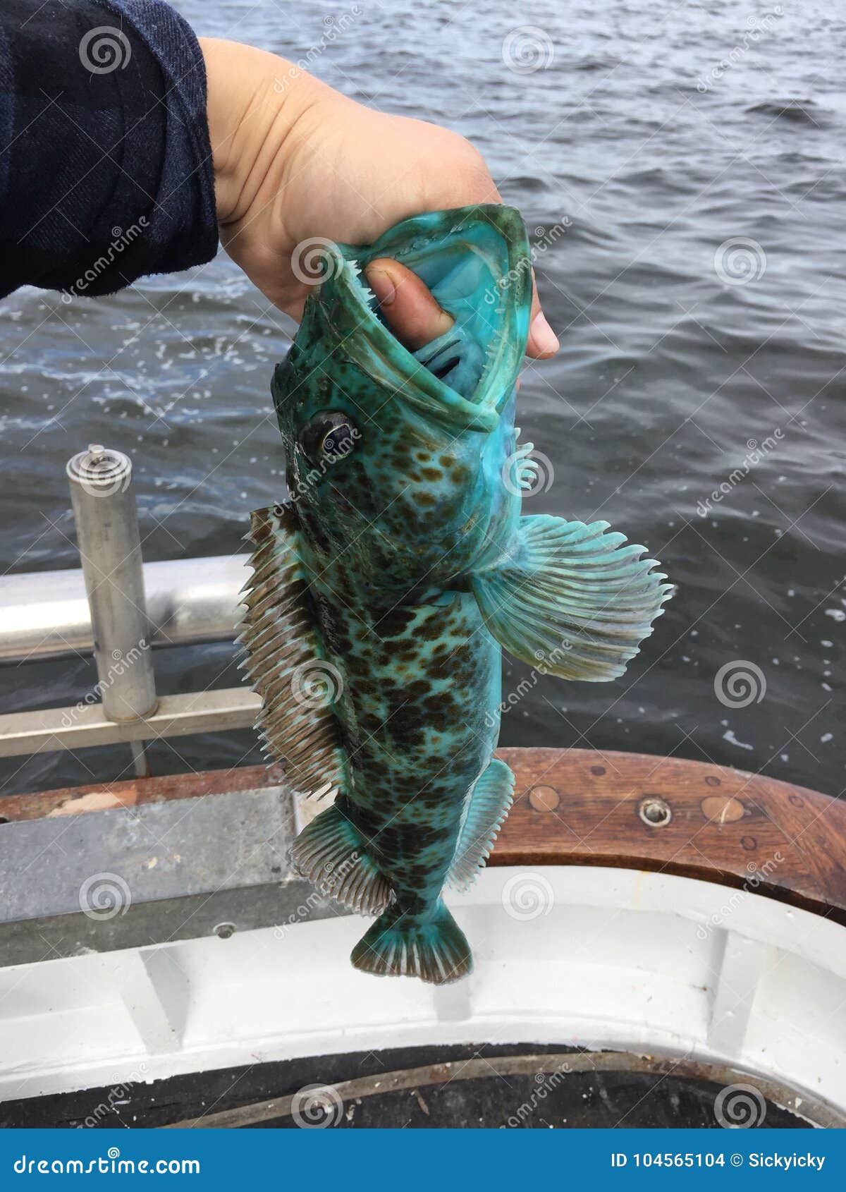 Fishing trip stock photo. Image of blue, boat, ling - 104565104