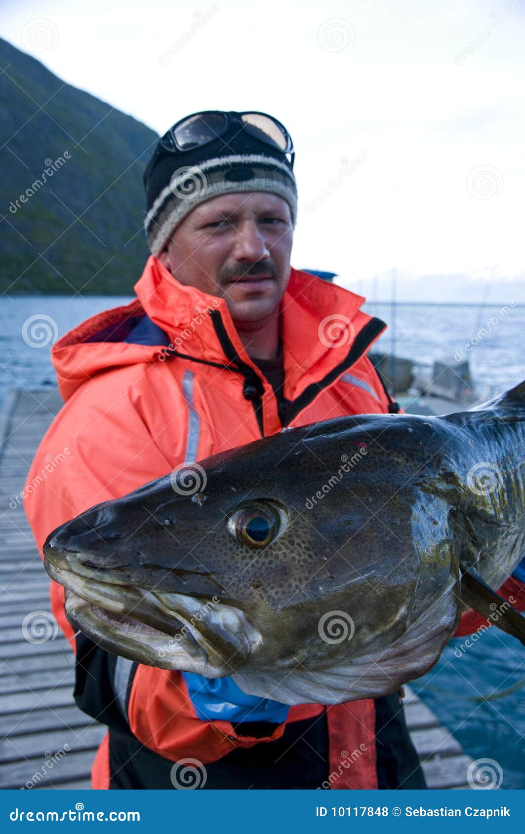 Fishing trophy - cod stock photo. Image of caught, giant - 10117848