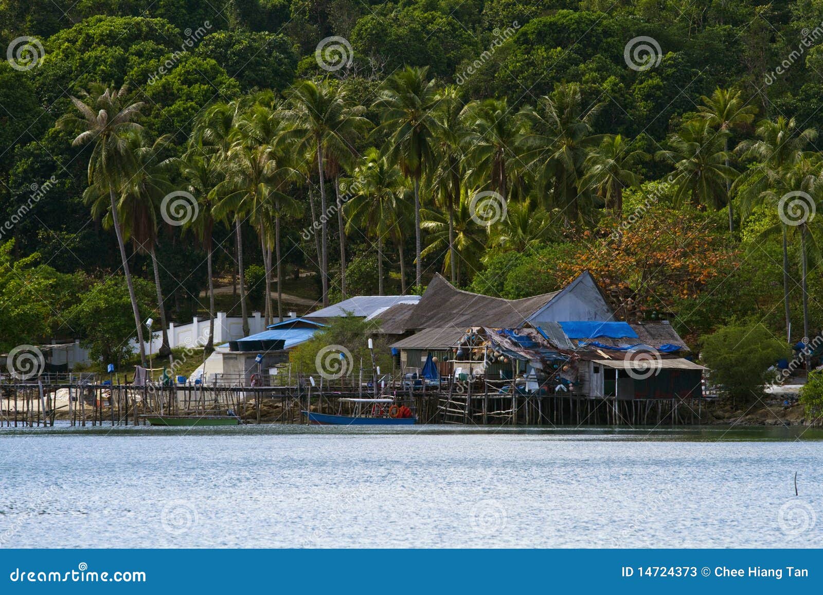 Fishing village stock image. Image of coconut, houses - 14724373