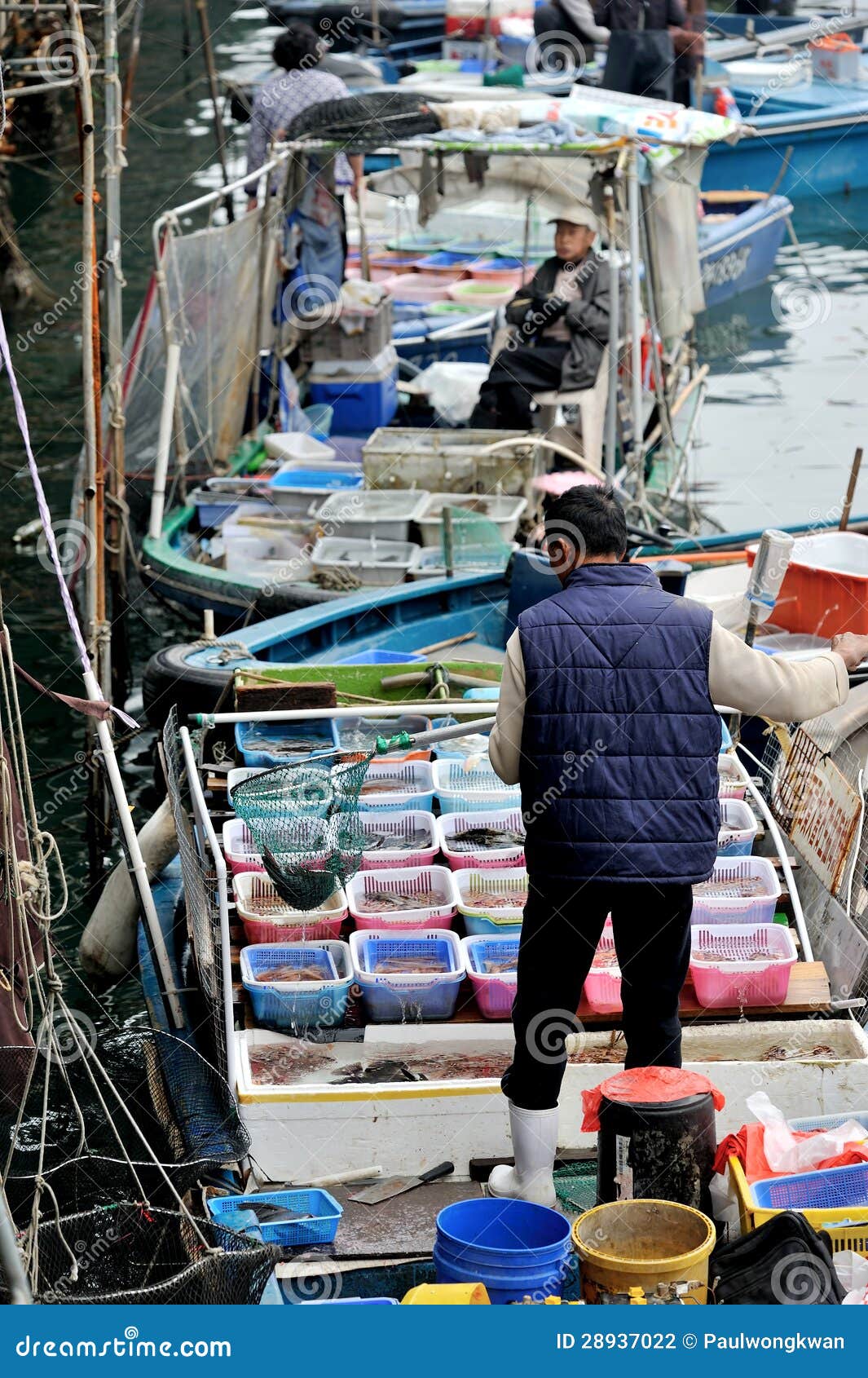 Fishman selling fish editorial photography. Image of dock - 28937022