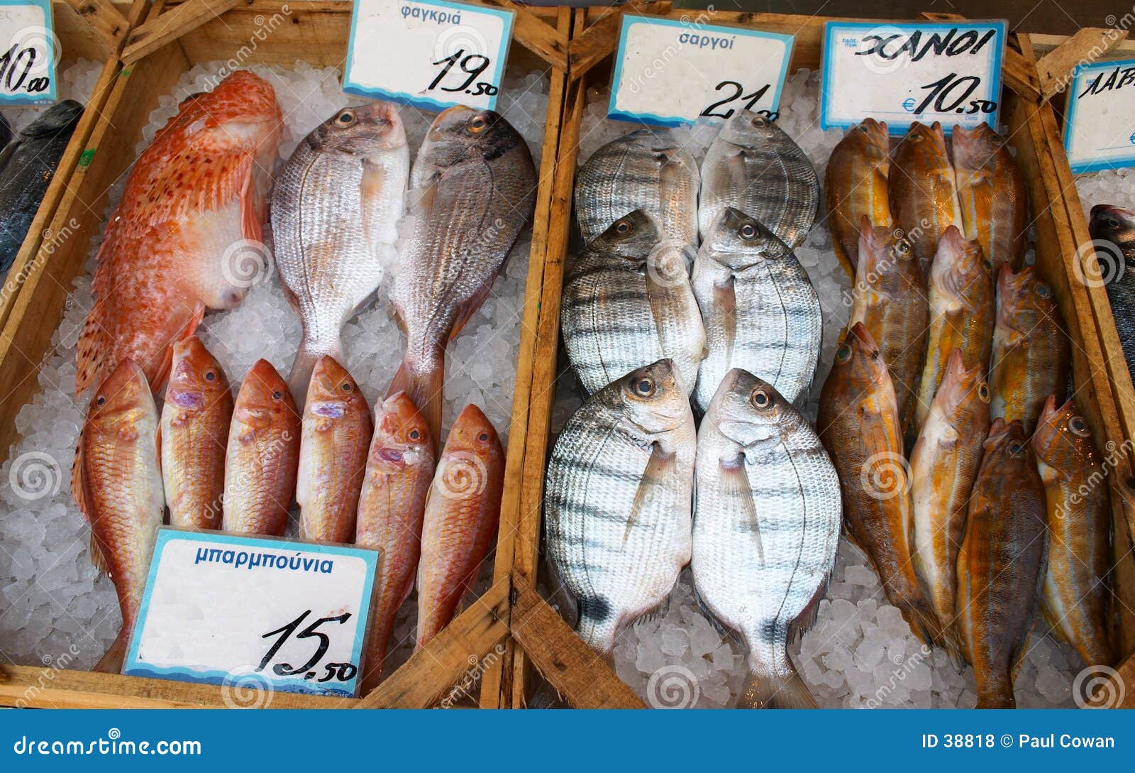 Fishmonger s display stock photo. Image of language, alphabet - 38818