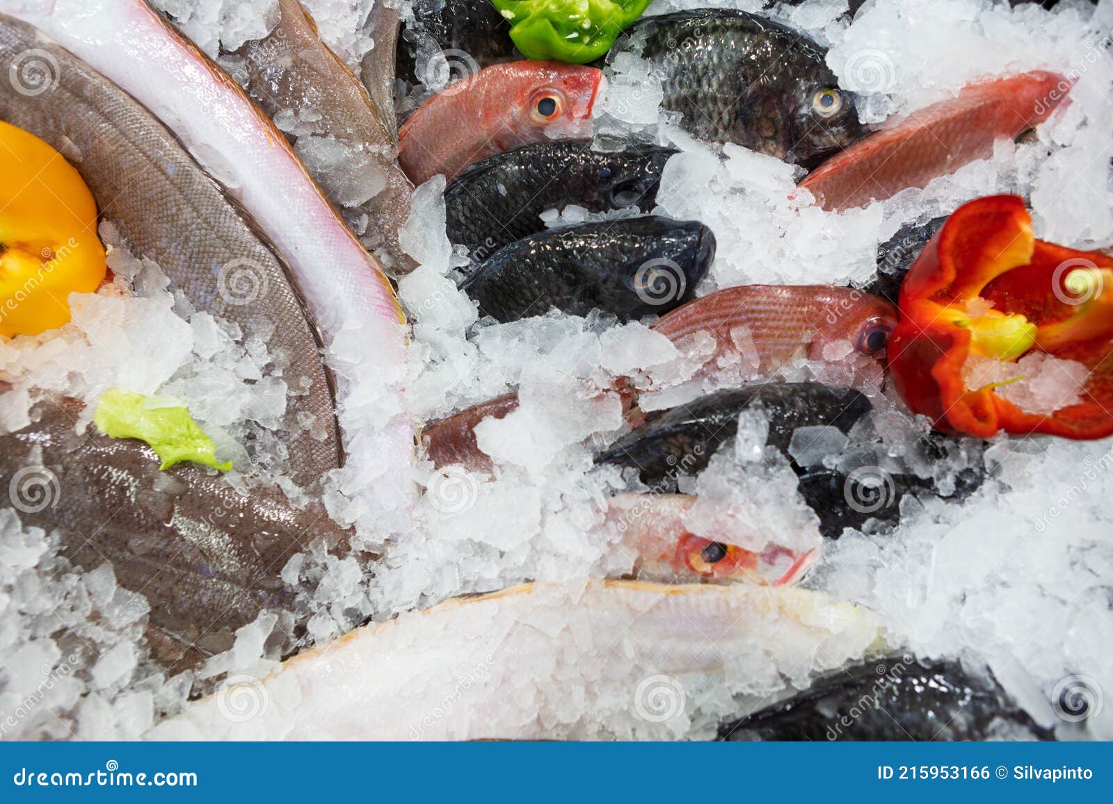 Fishmonger Shelf in Supermarket with Fresh Fish Stock Photo - Image of ...