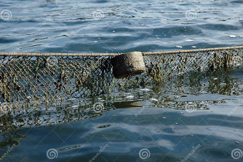 Fishnet stock image. Image of line, equipment, fishnet - 21323363