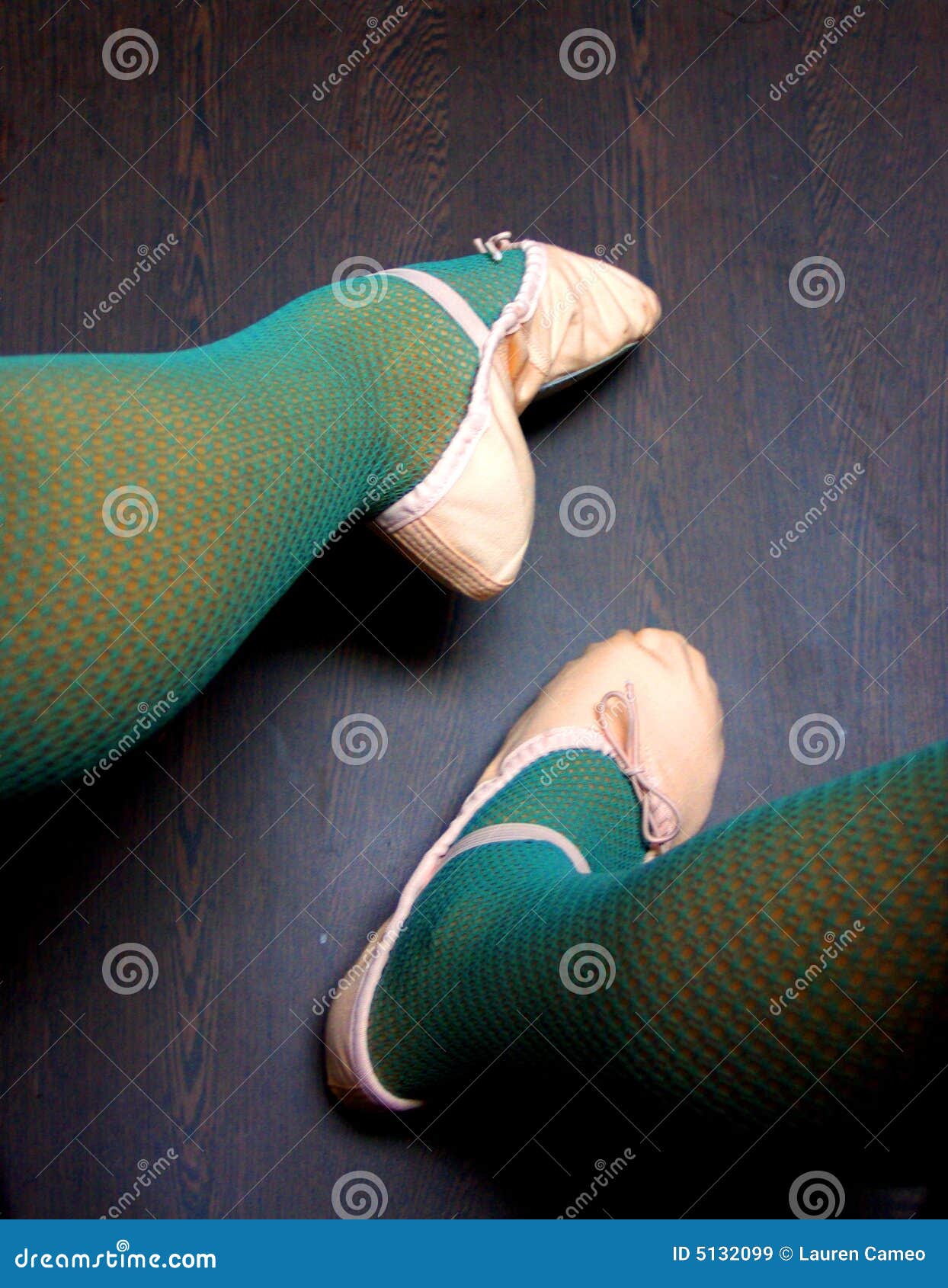 Fishnet Ballet Crouched Pose Stock Image - Image of feet, fishnet: 5132099