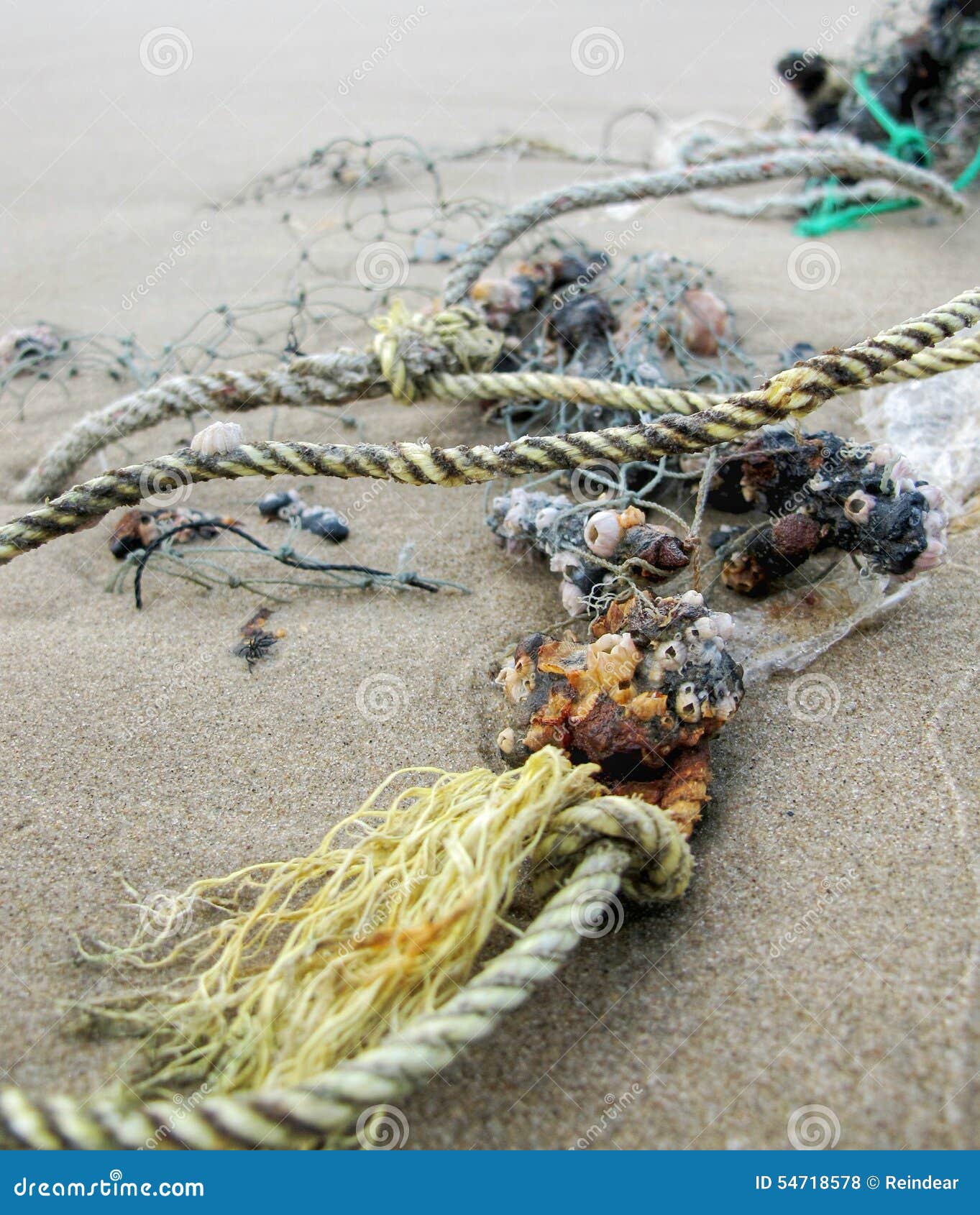 Fishnet on the beach stock photo. Image of rope, shell - 54718578