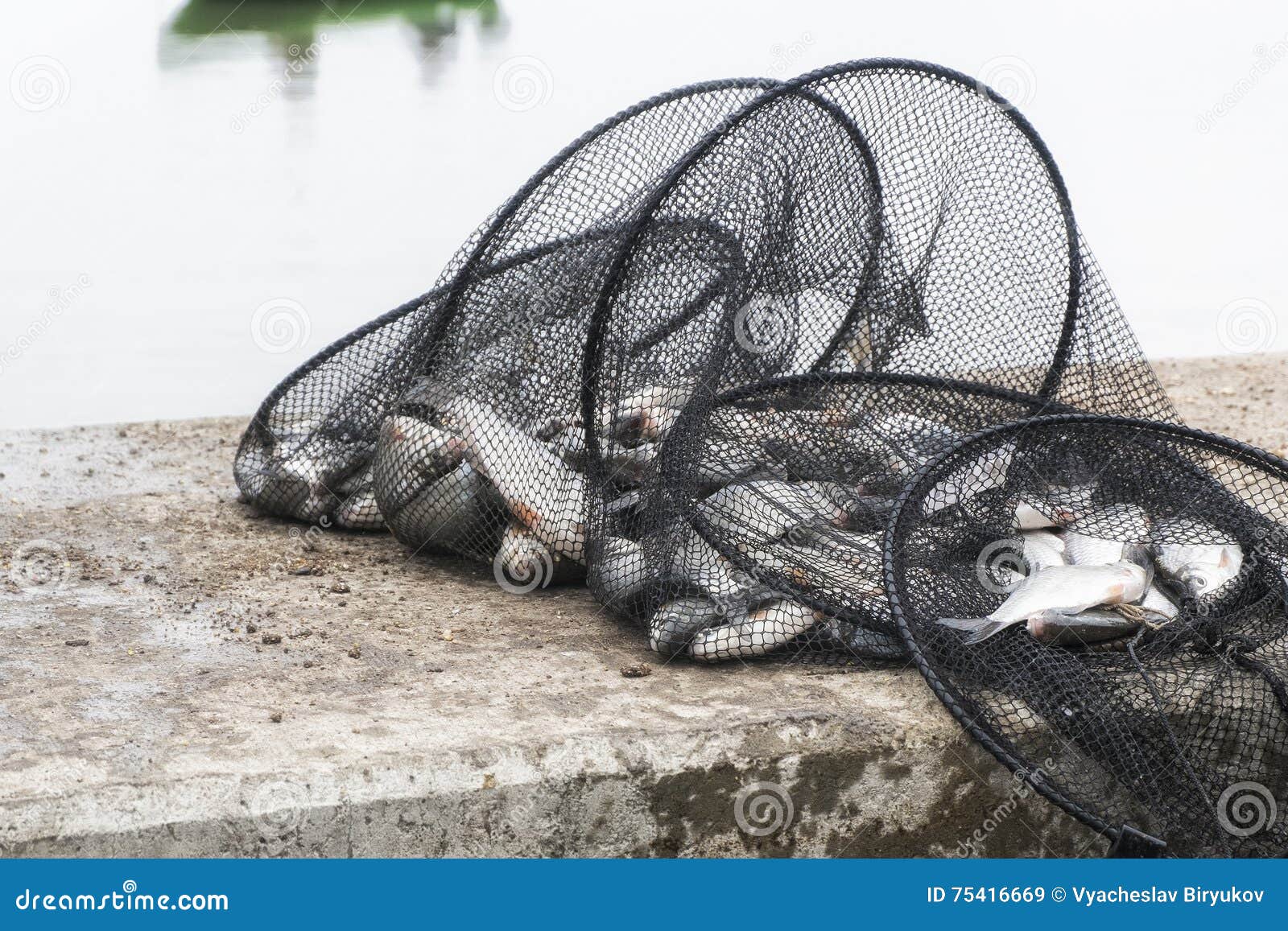 Fishnet stock image. Image of spring, fishnet, fishing - 75416669