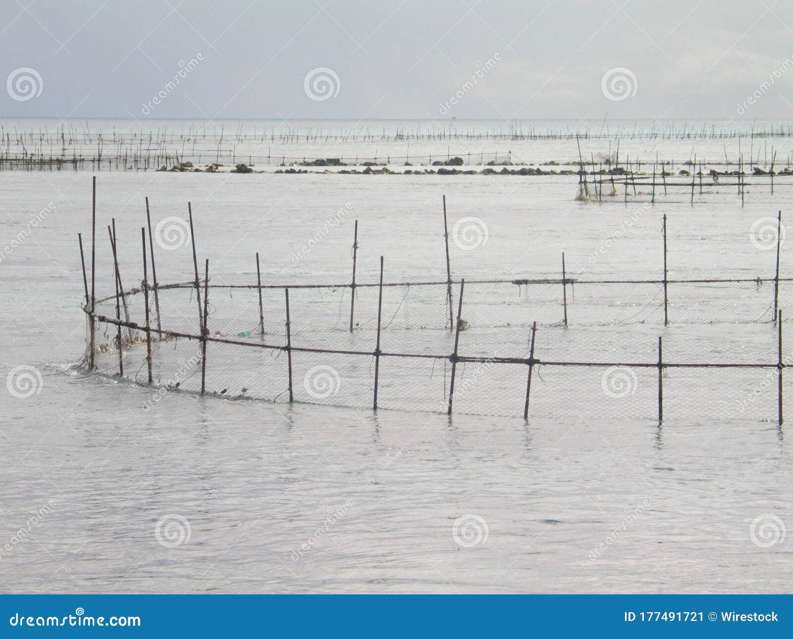 Fishnet in the Water in Tahiti. French Polynesia Stock Image - Image of ...