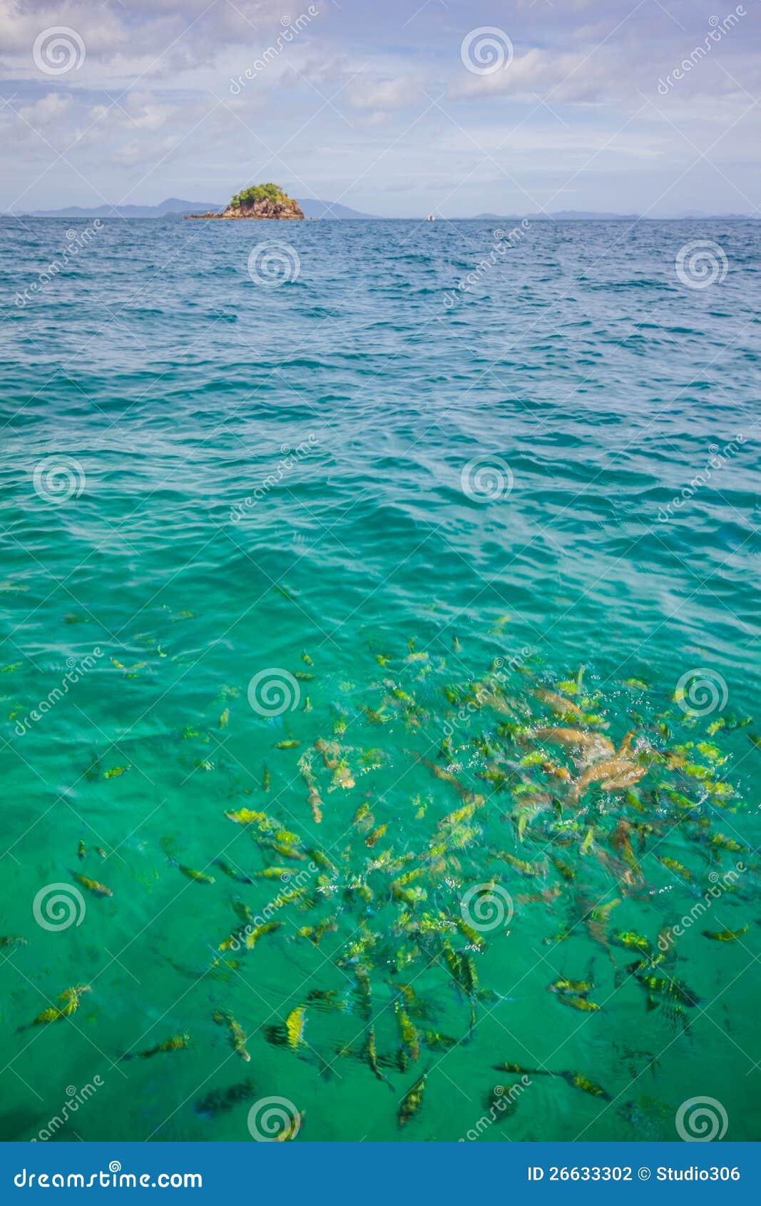 Fishs and island stock photo. Image of beauty, fishs - 26633302