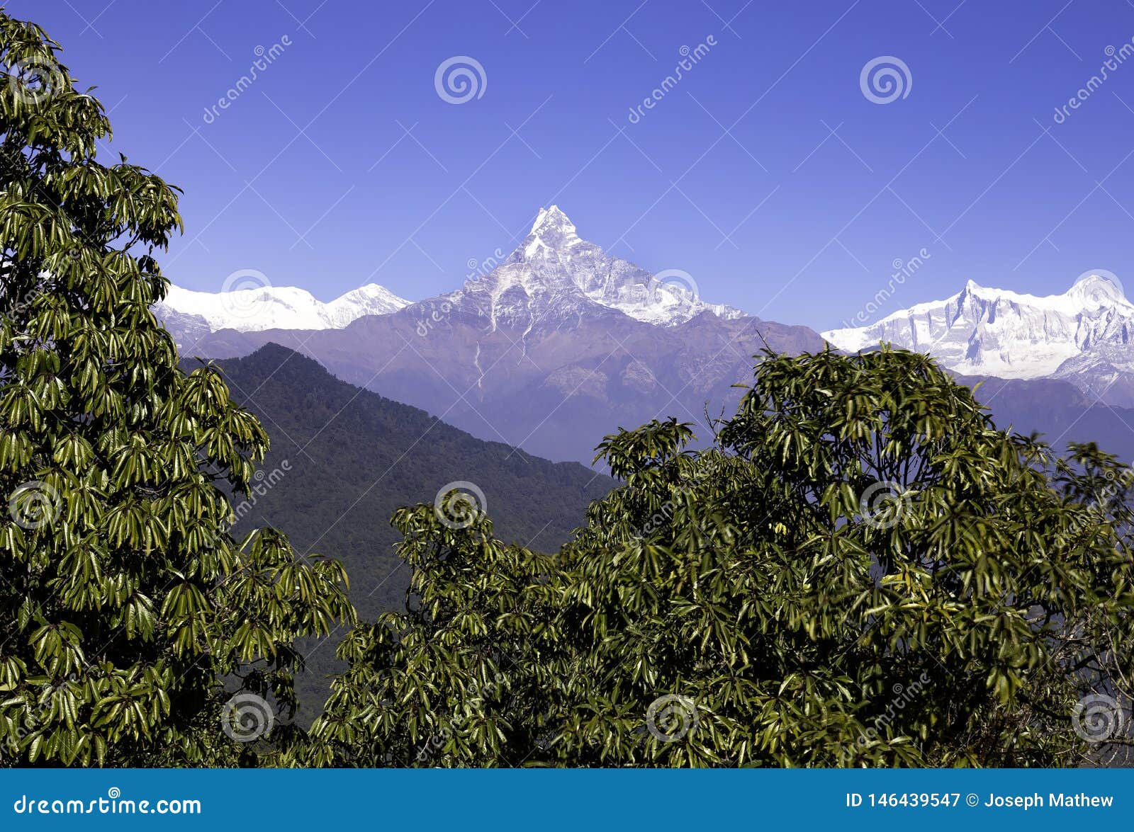 FISHTAIL MOUNTAIN VIEW from AUSTRALIAN BASE CAMP Stock Image - Image of ...