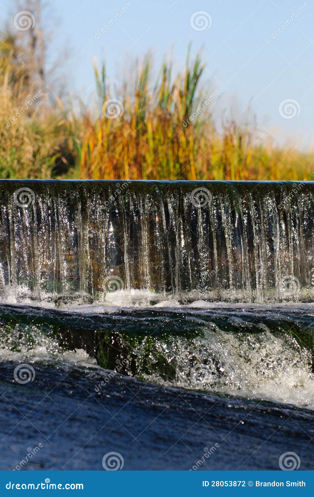 Fishway stock photo. Image of water, river, current, migrate - 28053872