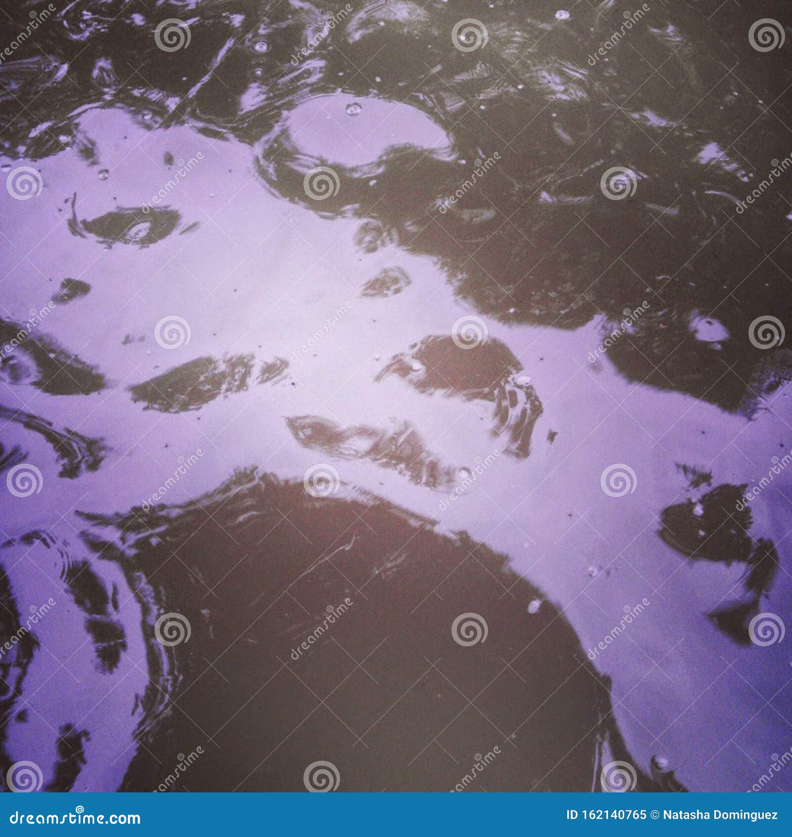 Fishy Silly Shape River Flow Stock Image - Image of silliest, flow ...