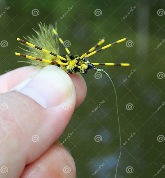 Fiska flugan fotografering för bildbyråer. Bild av konstgjord - 37708257
