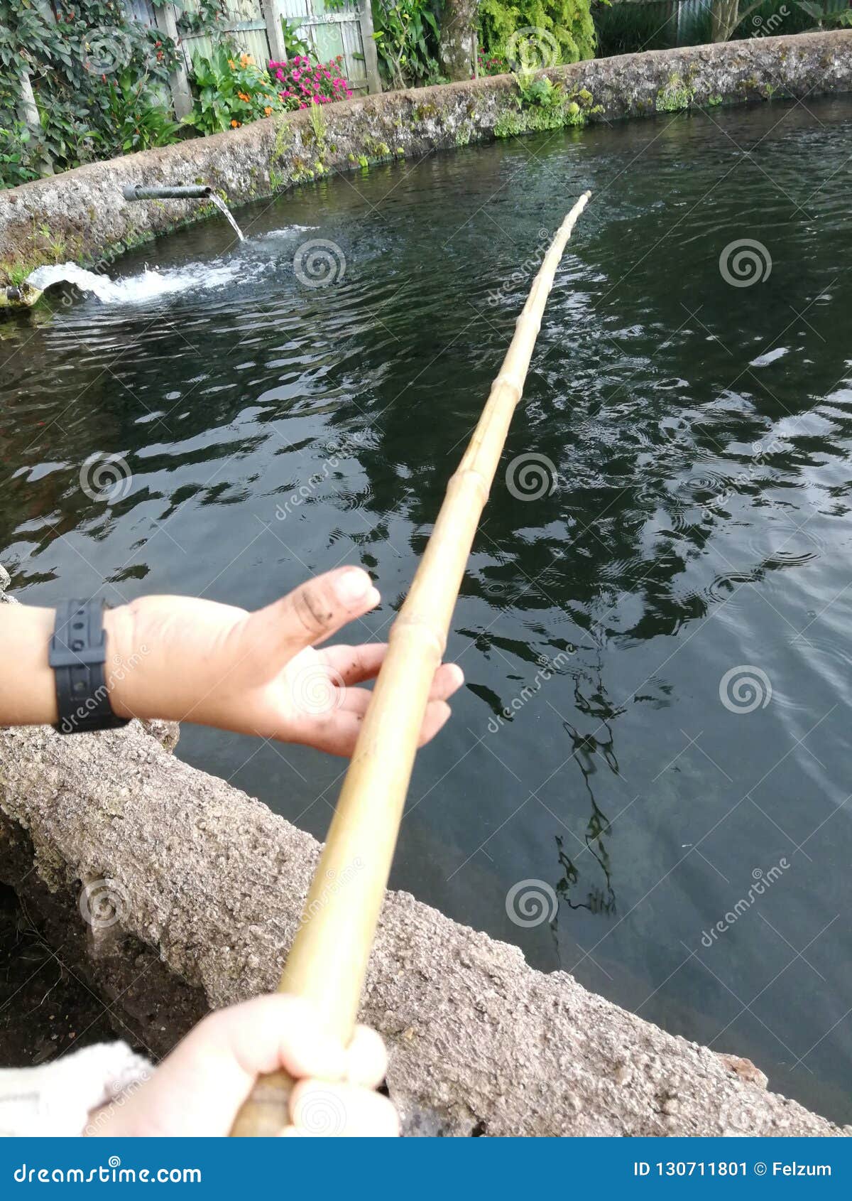 Fiske forell fotografering för bildbyråer. Bild av fisk - 130711801