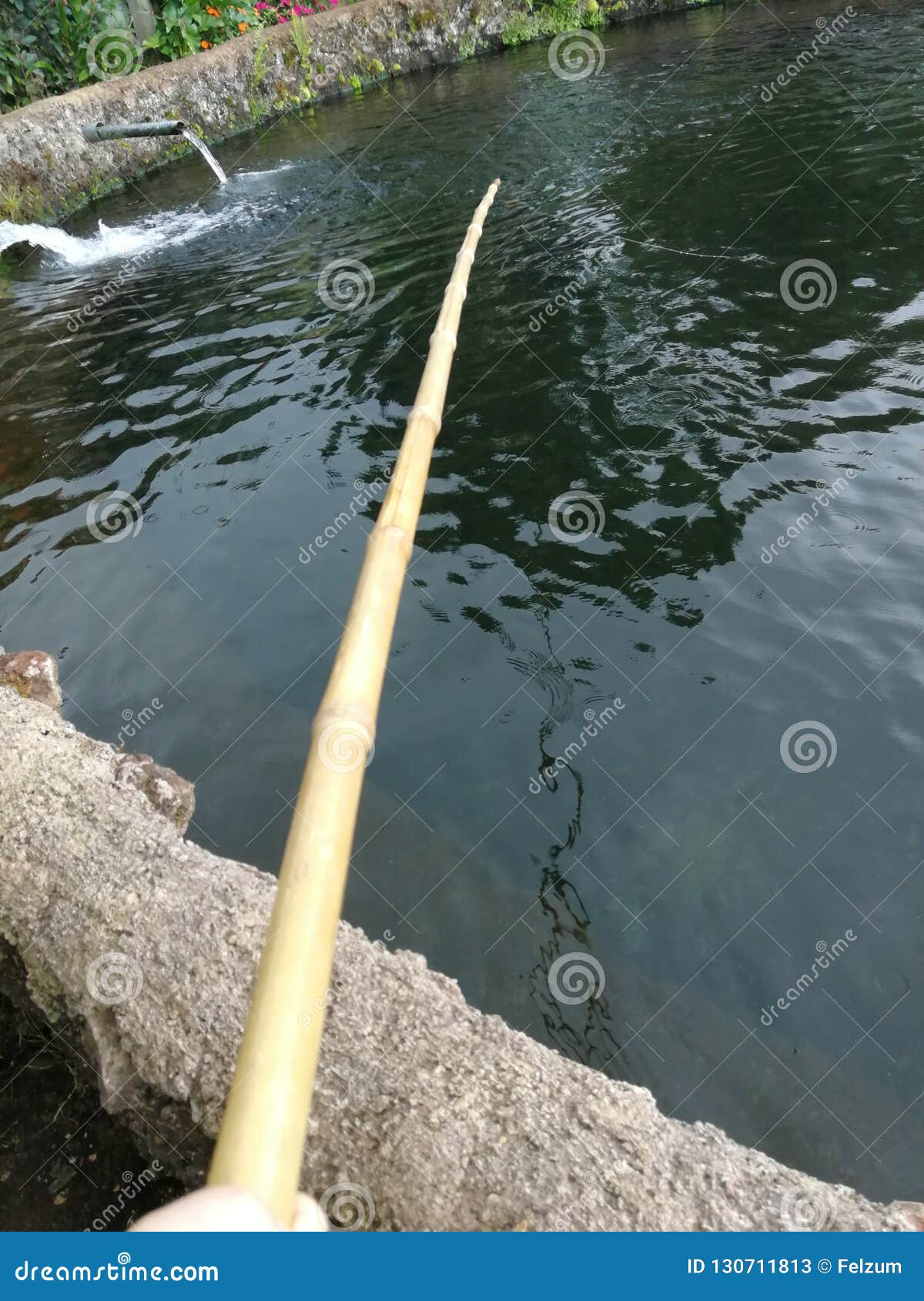 Fiske forell fotografering för bildbyråer. Bild av döda - 130711813