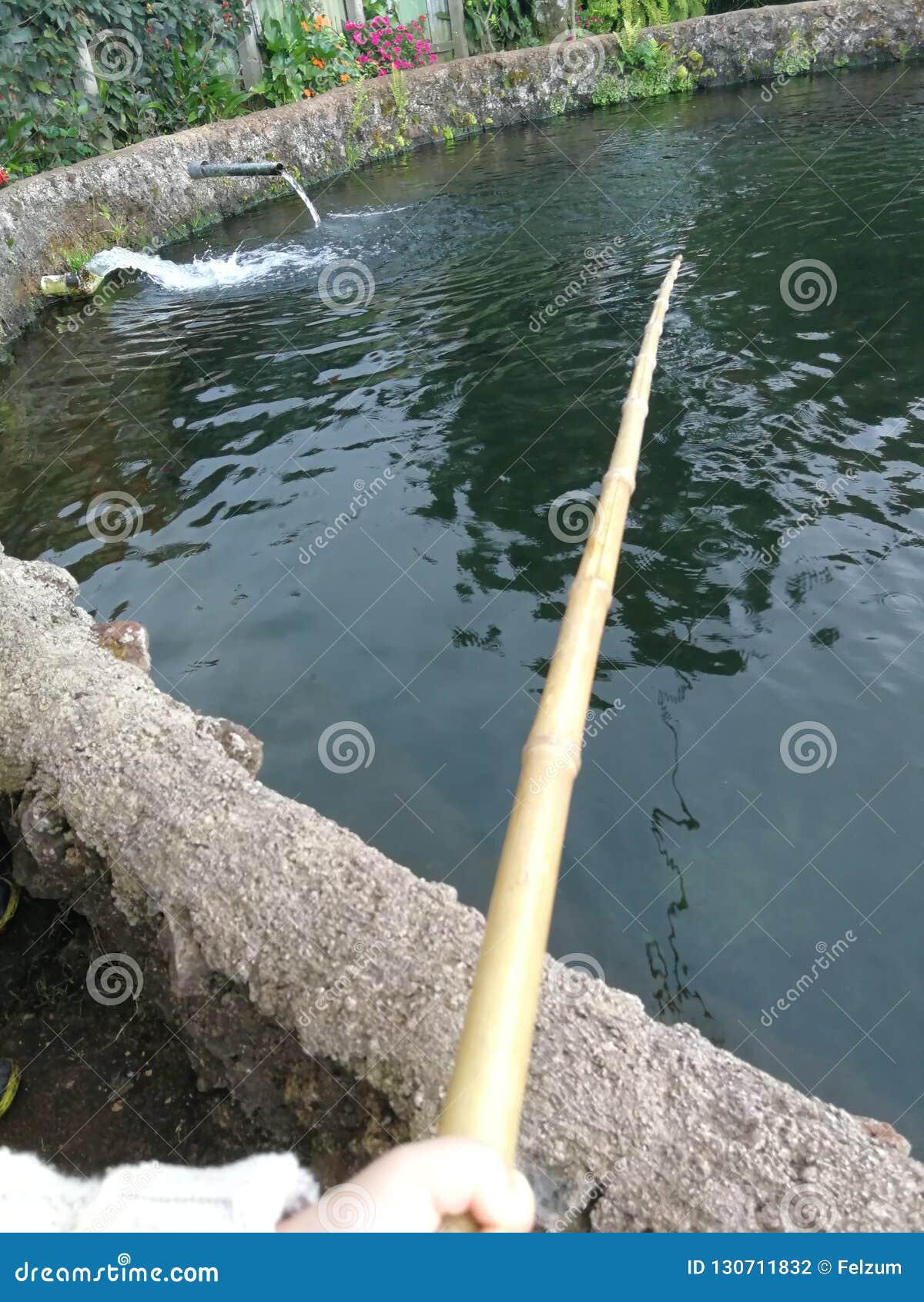 Fiske forell arkivfoto. Bild av fisk, döda, fiske, forell - 130711832