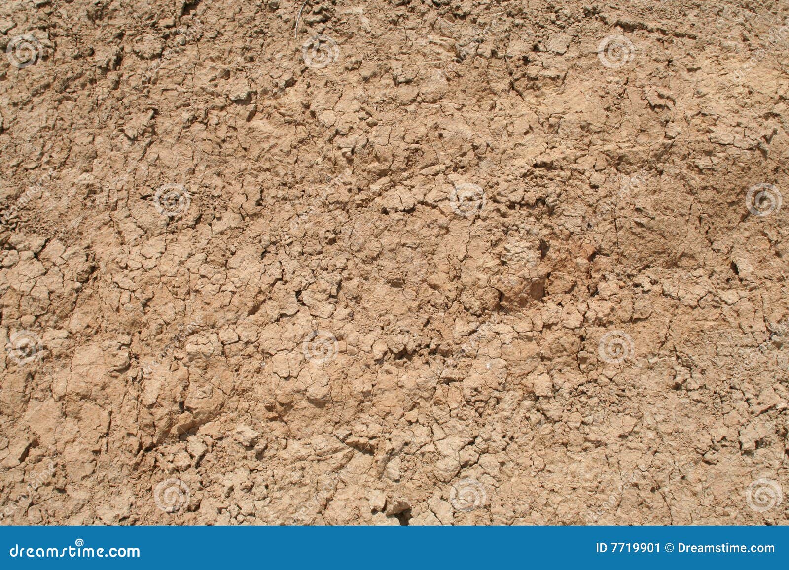 Fissured clay texture stock image. Image of arid, cracked - 7719901