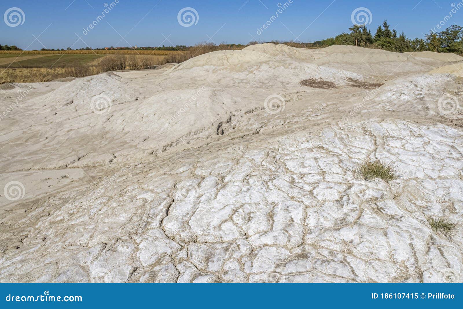 Fissured dry ground stock image. Image of terrain, cracked - 186107415