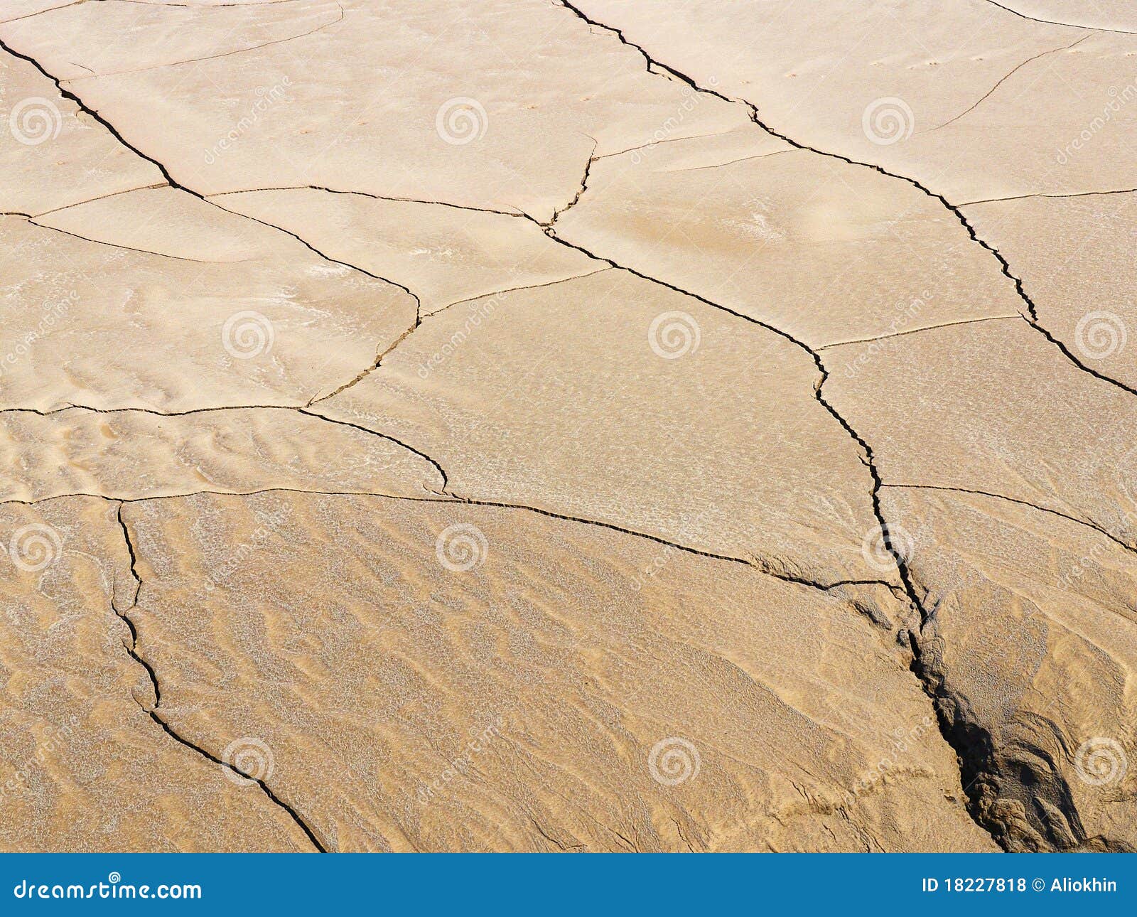 Fissures on the earth stock photo. Image of yellow, pattern - 18227818