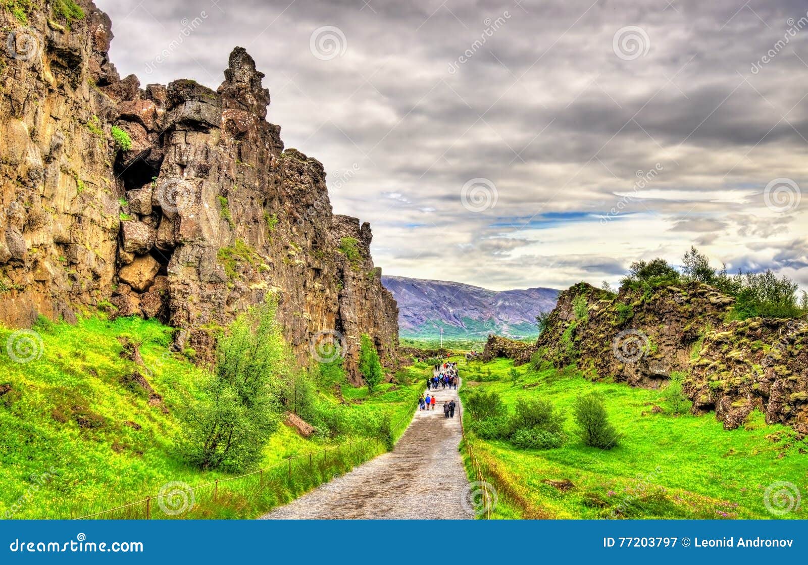 Fissures of the Mid-Atlantic Ridge in the Thingvellir National Park ...