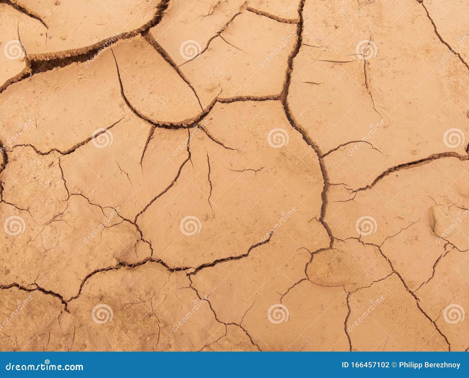 Fissures Sur La Surface Du Sol Texture Ou Concept Abstrait De Fond ...