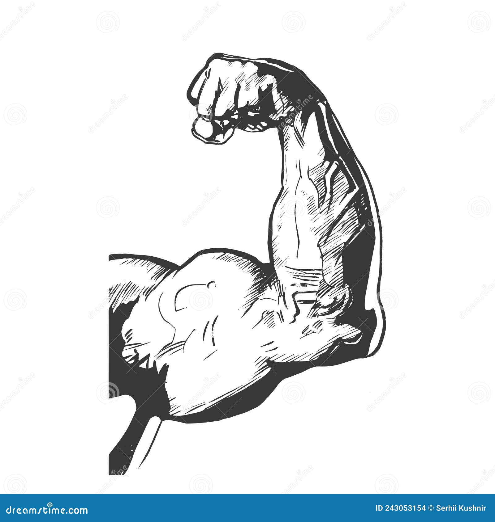 Fist, Hand with Athletic Muscles. Graphics Sketch Stock Vector ...