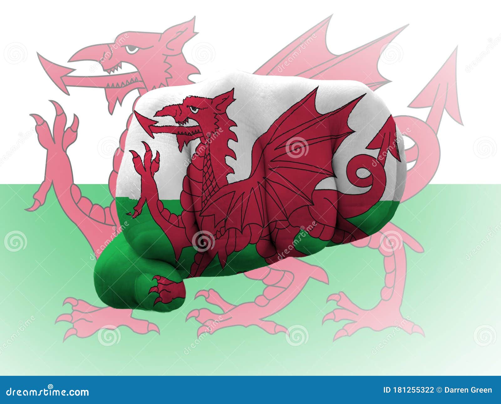 Welsh Flag with Fist Representing Power Stock Illustration ...